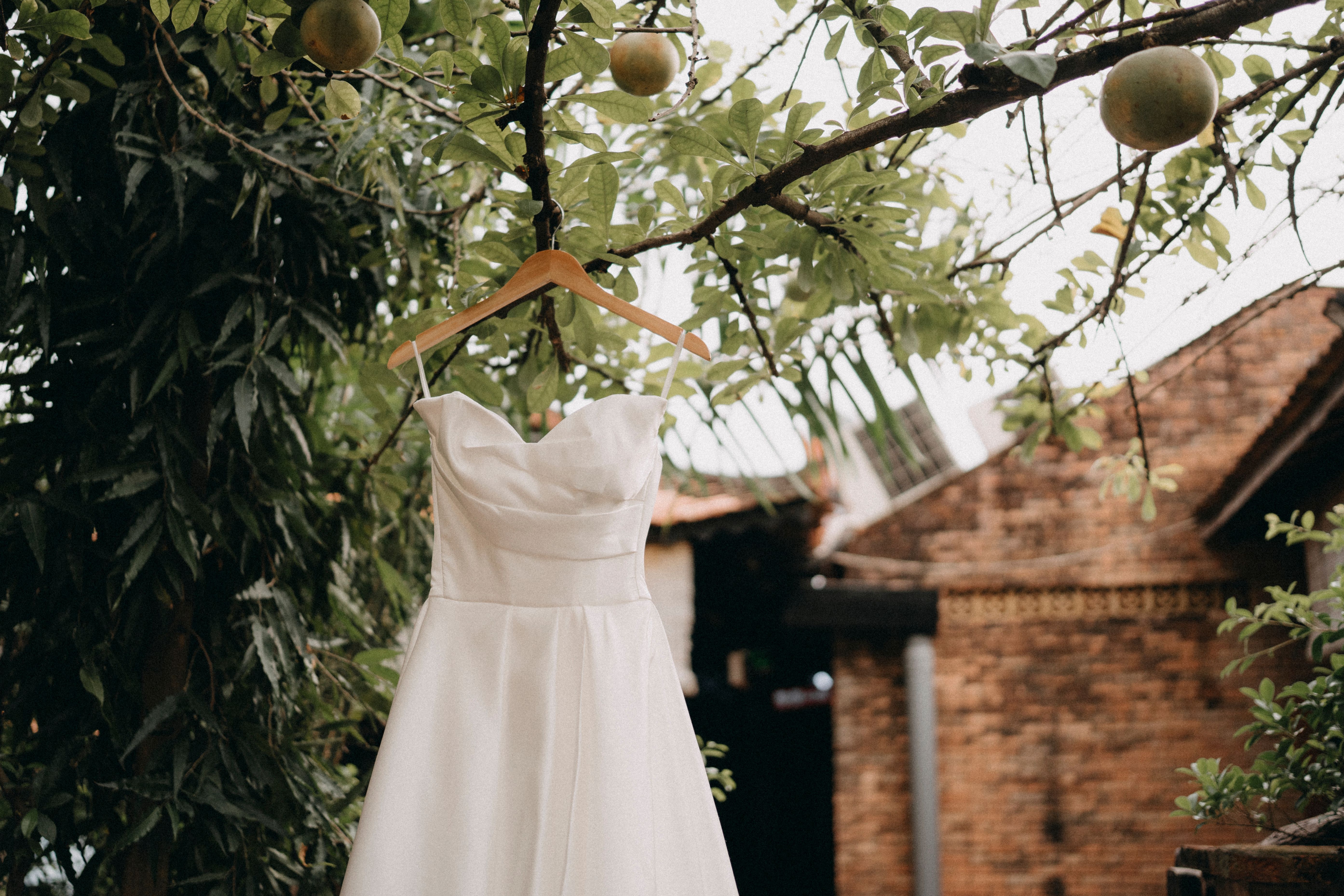 Wedding Dress Hanging on a Tree Branch · Free Stock Photo