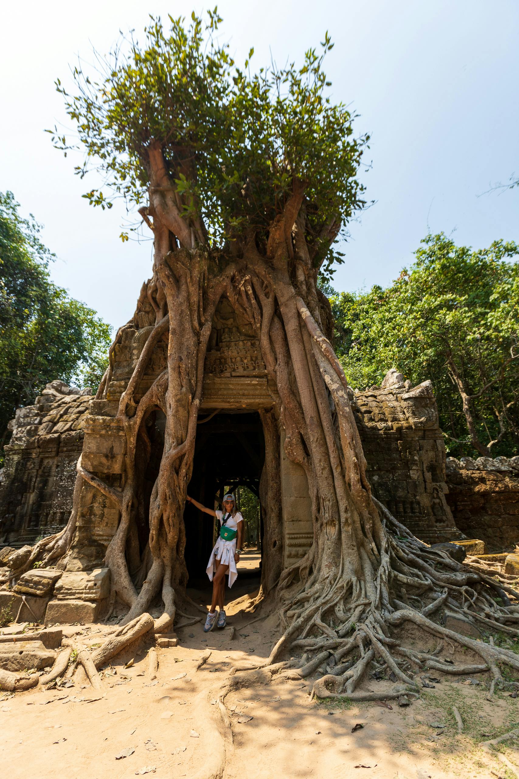 Huge Roots of a Tree on a Temple Ta Som Gate in Angkor Wat Complex at ...