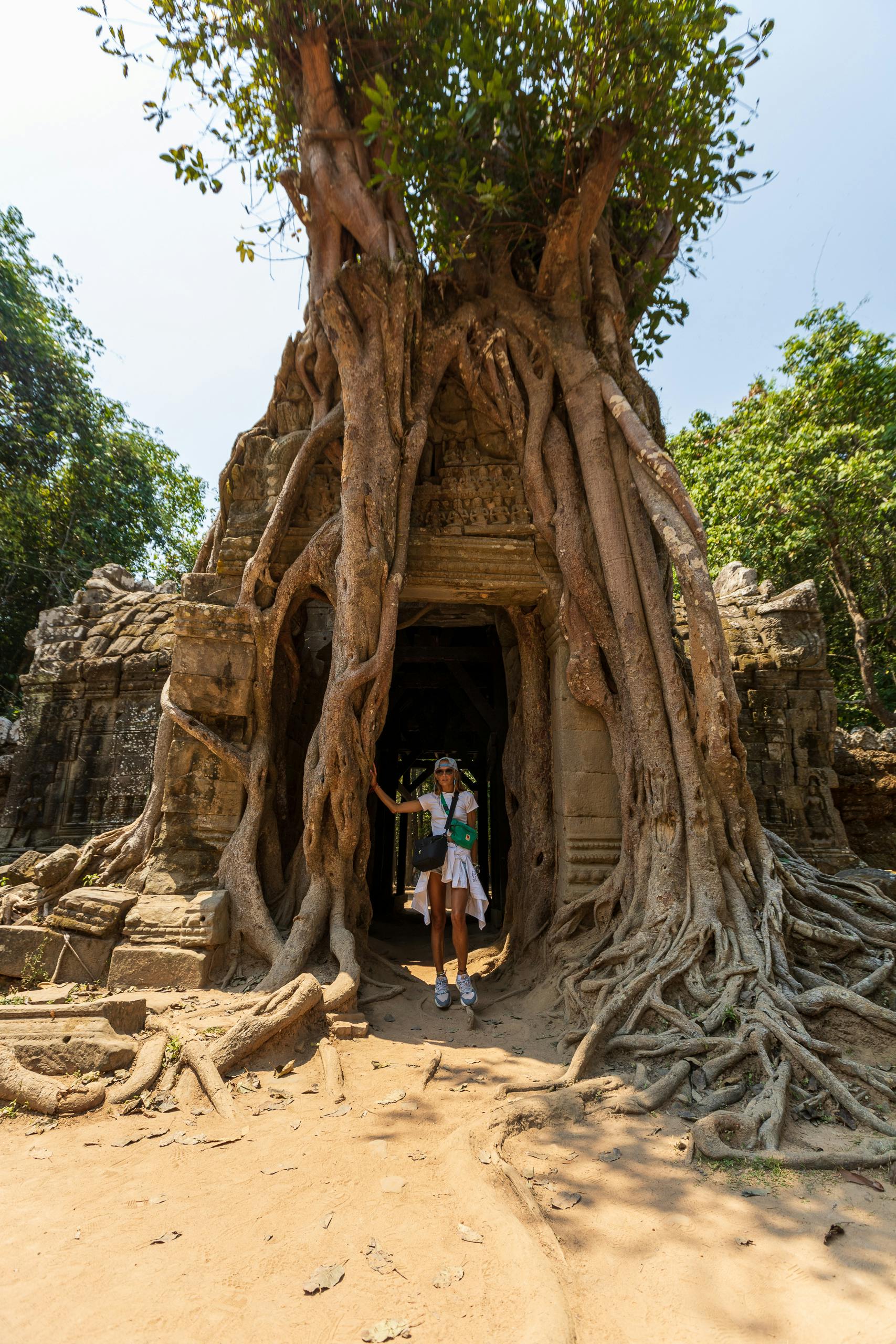 Huge Roots of a Tree on a Temple Ta Som Gate in Angkor Wat complex at ...