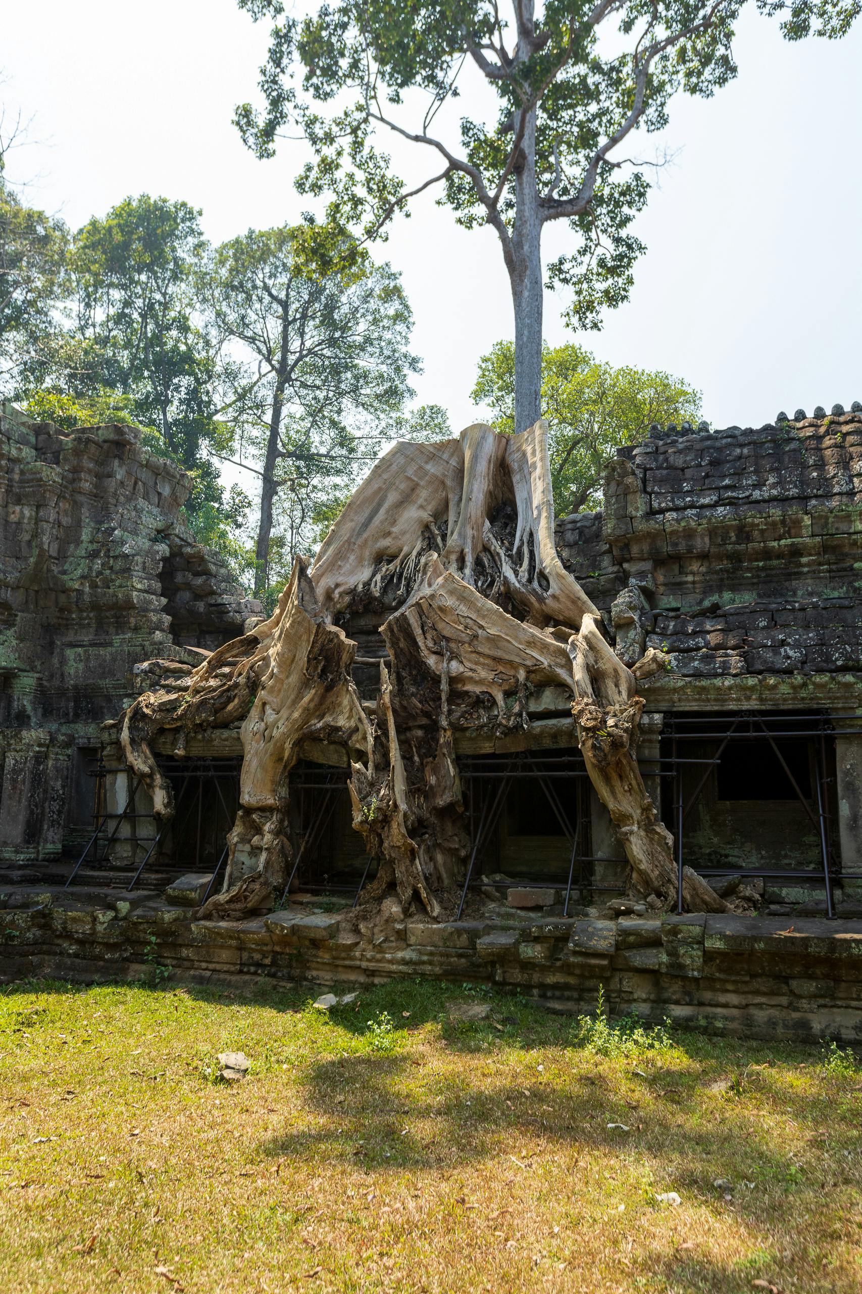 Siem Reap, Cambodia Photos, Download The BEST Free Siem Reap, Cambodia ...