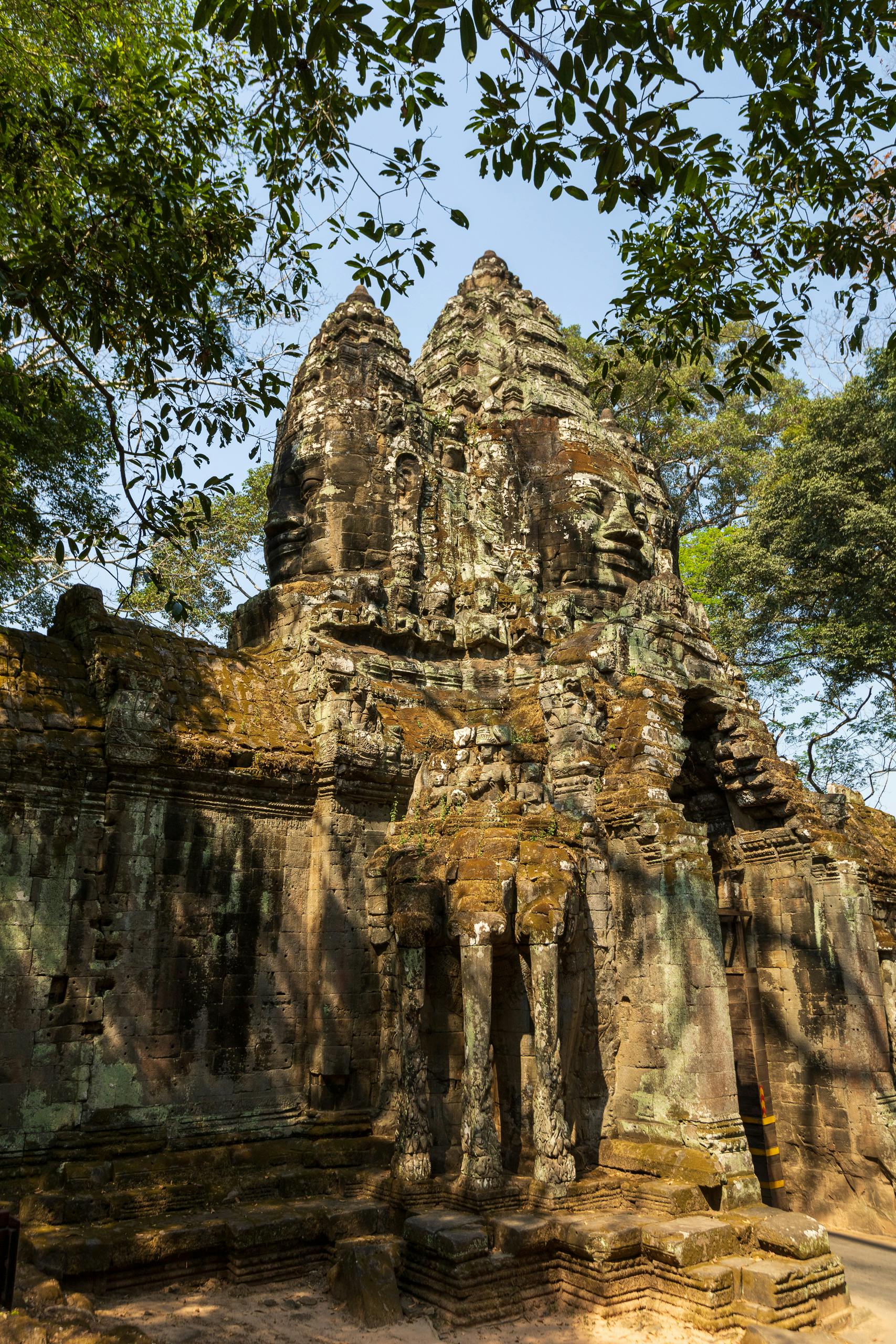 Trees around Ruins Building · Free Stock Photo