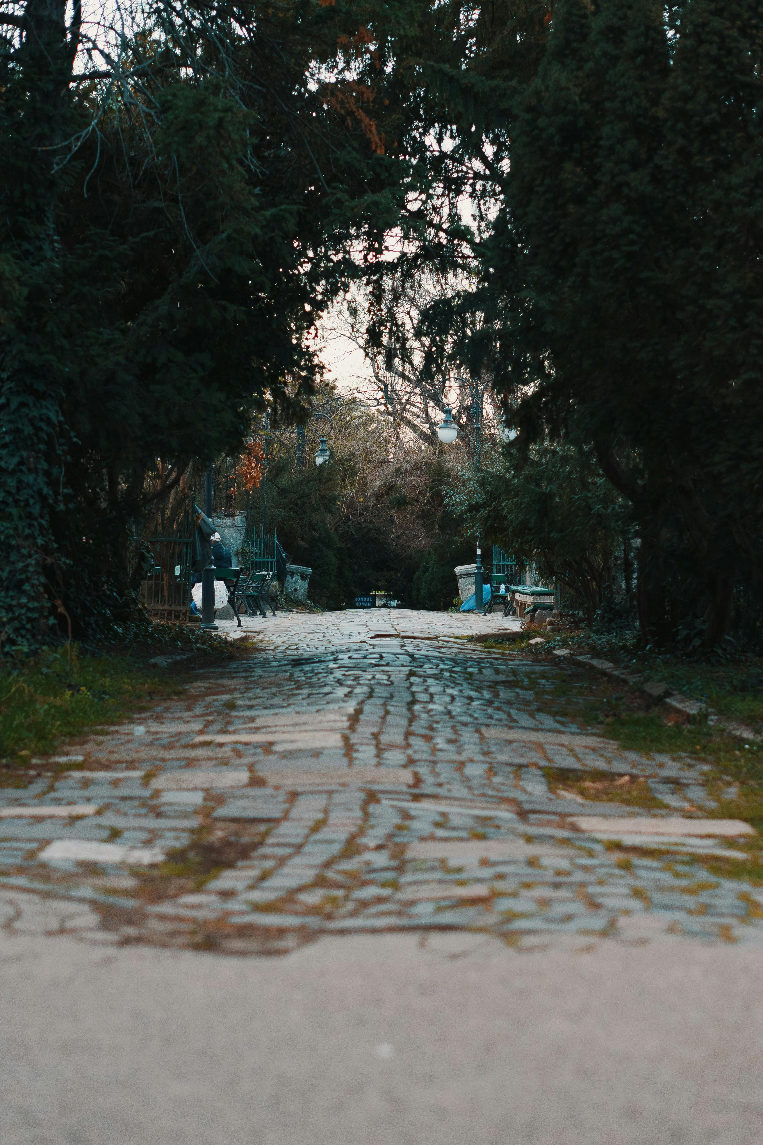 Uneven Footpath with Cobblestone and Asphalt · Free Stock Photo