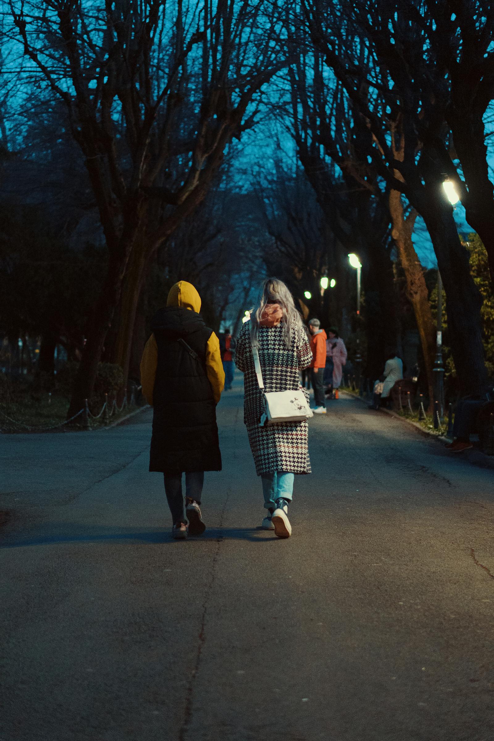 Dark Back Alley Photos, Download The BEST Free Dark Back Alley Stock ...