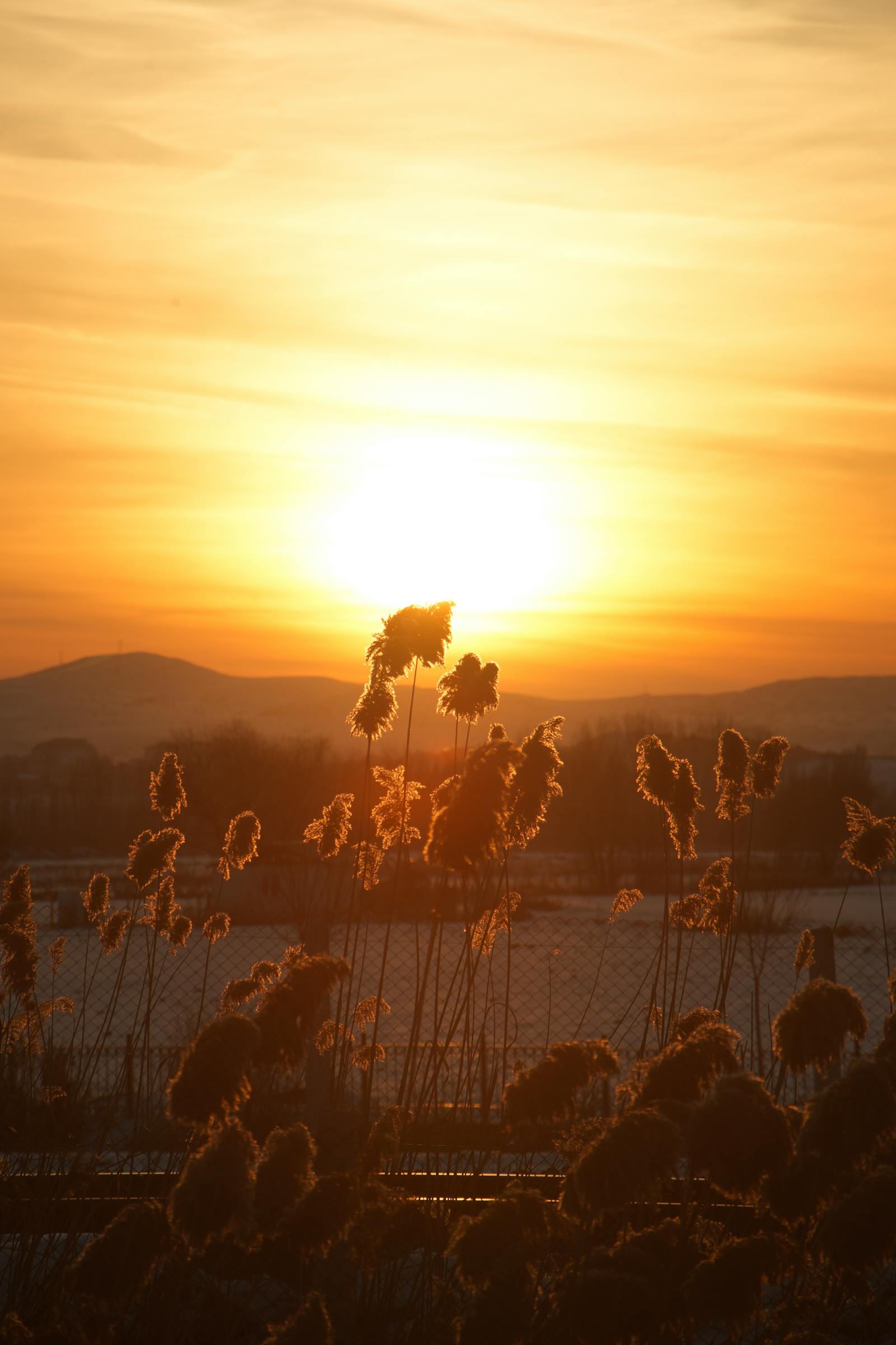 Sun I Photos, Download The BEST Free Sun I Stock Photos & HD Images