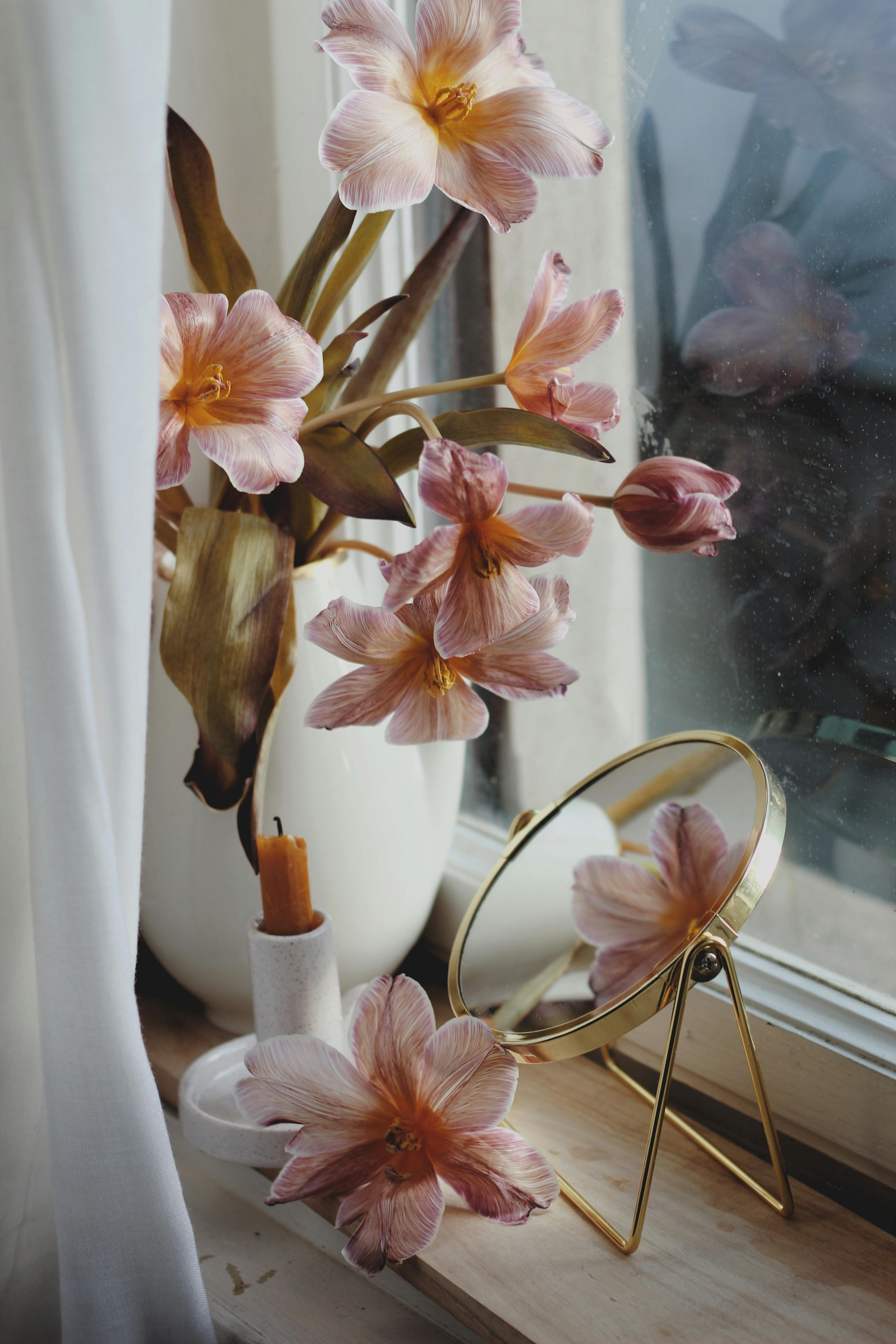 Window Backlight Photos, Download The BEST Free Window Backlight Stock ...