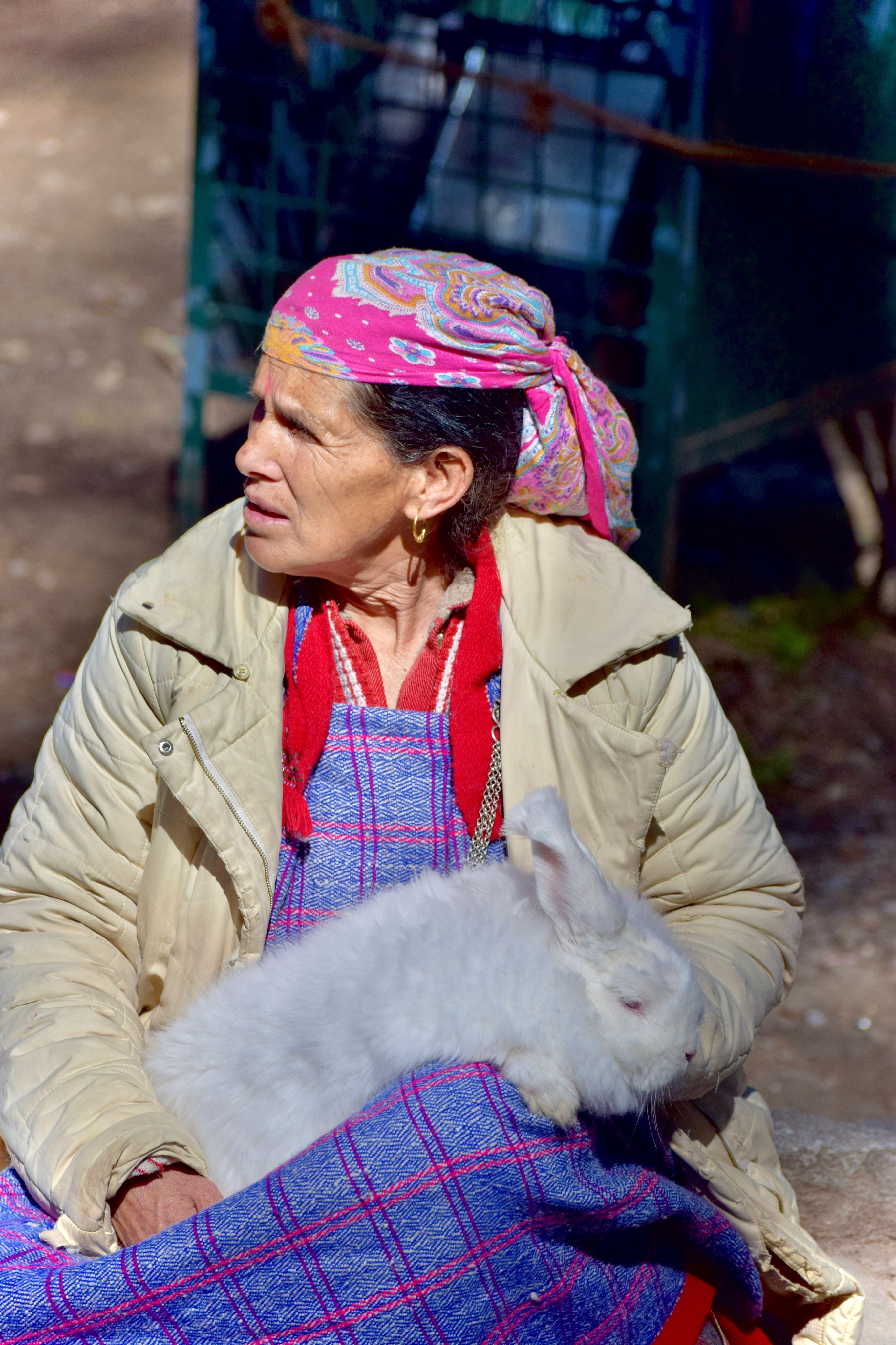 Elderly Woman Sitting Outside and Holding a Gray Bunny · Free Stock Photo