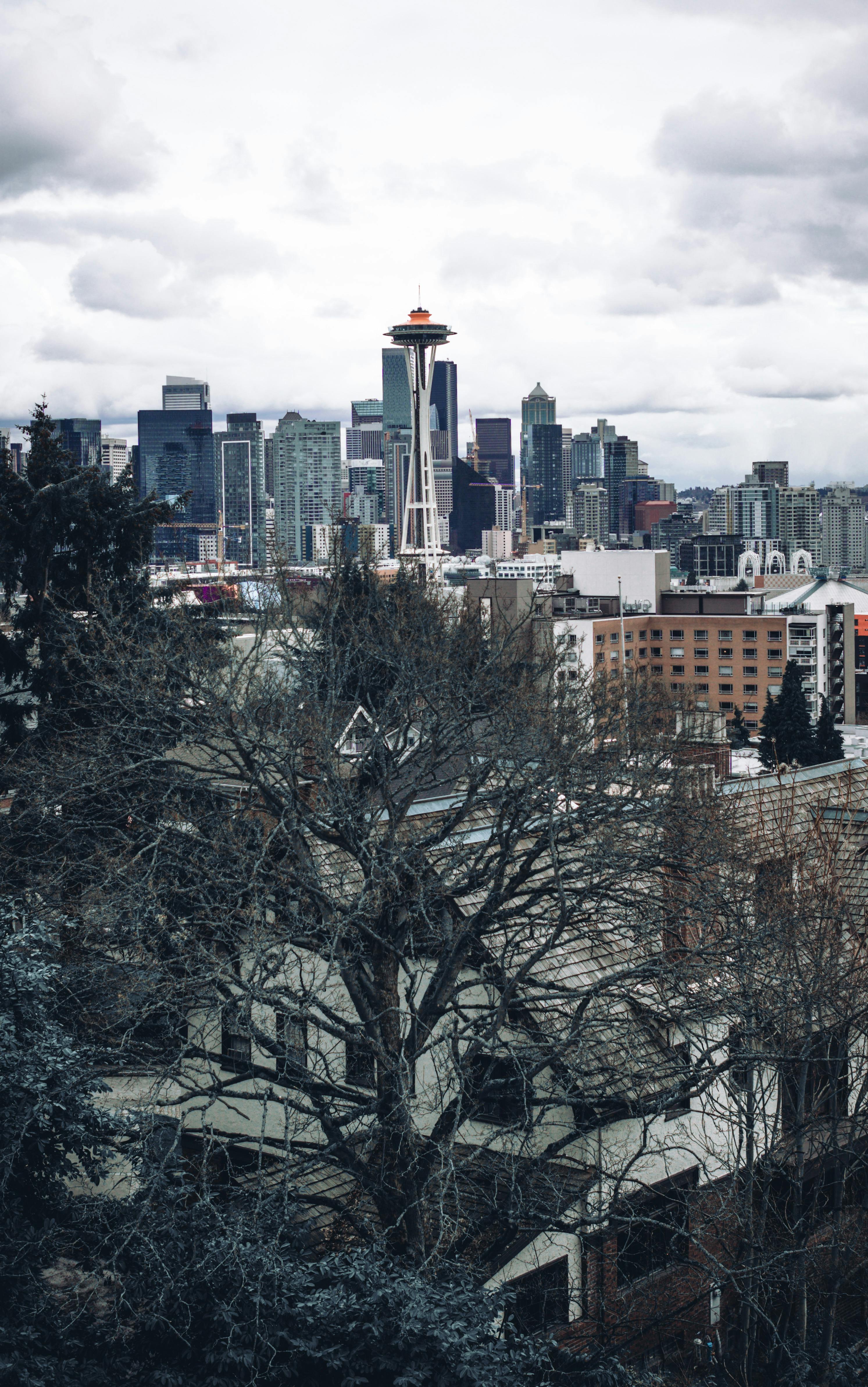 Seattle Photos, Download The BEST Free Seattle Stock Photos & HD Images