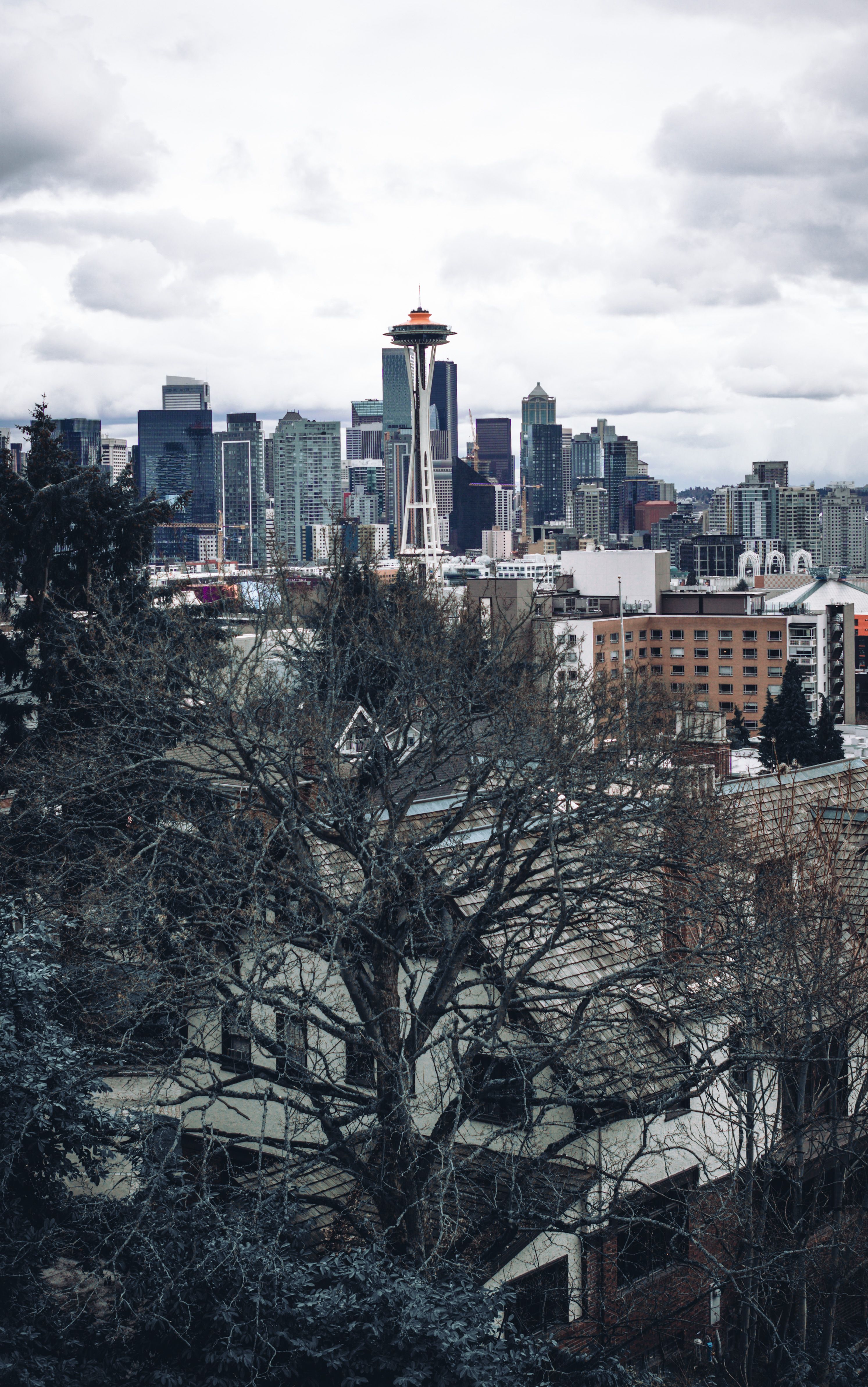 Seattle Skyline Photos, Download The BEST Free Seattle Skyline Stock ...