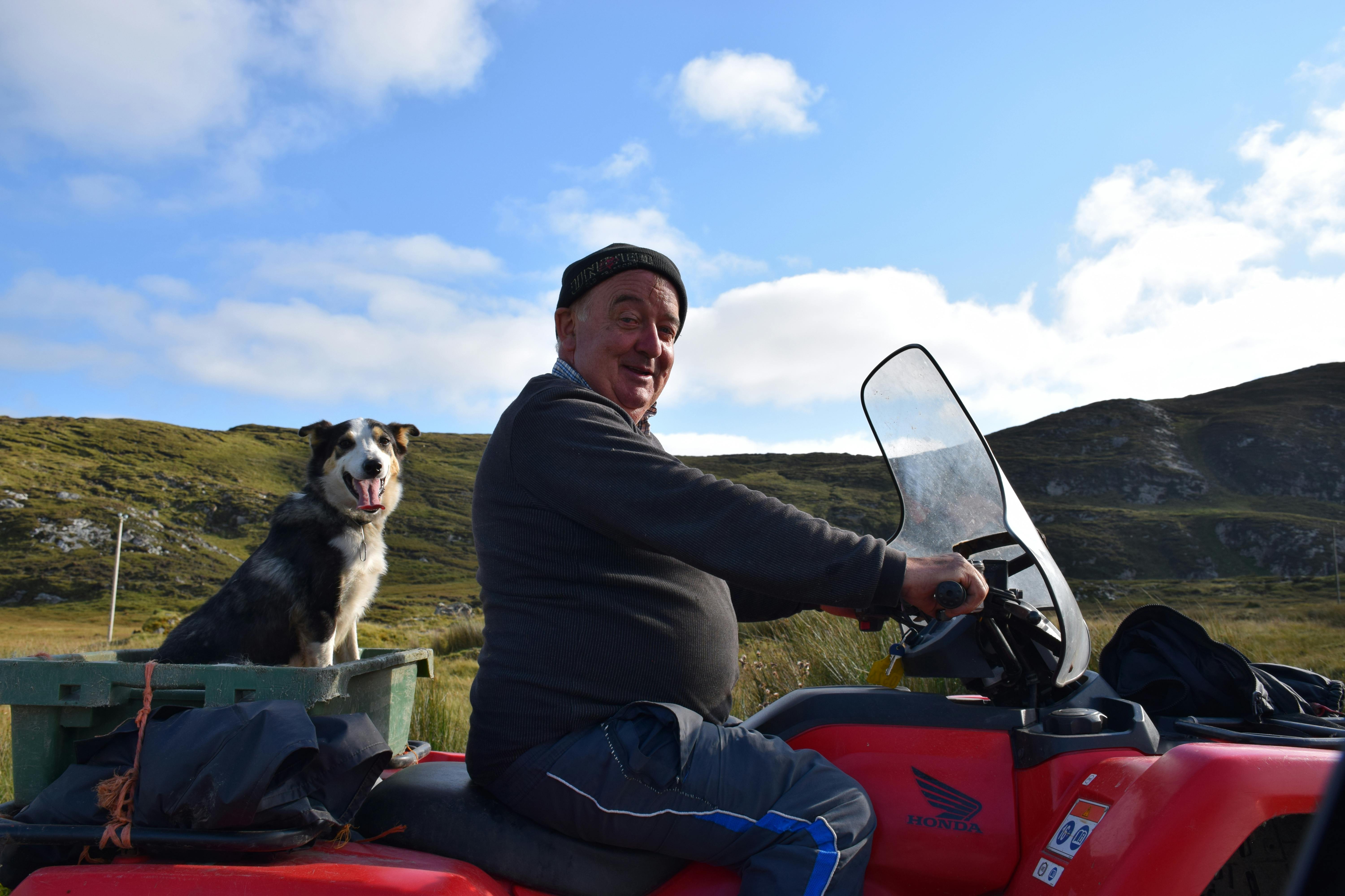 Dog Riding Bycycle Photos, Download The BEST Free Dog Riding Bycycle ...