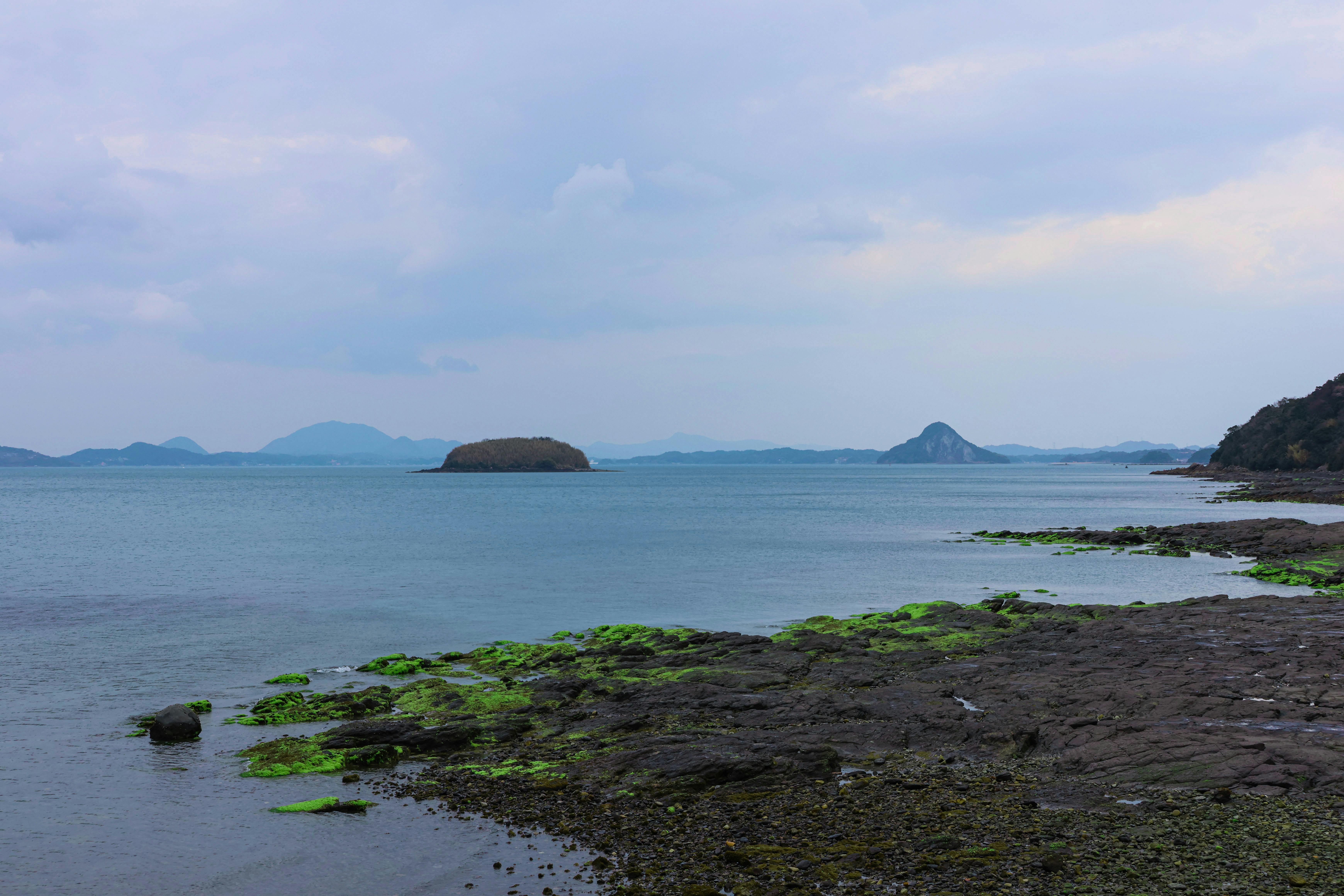 A View of the Raja Ampat Islands · Free Stock Photo