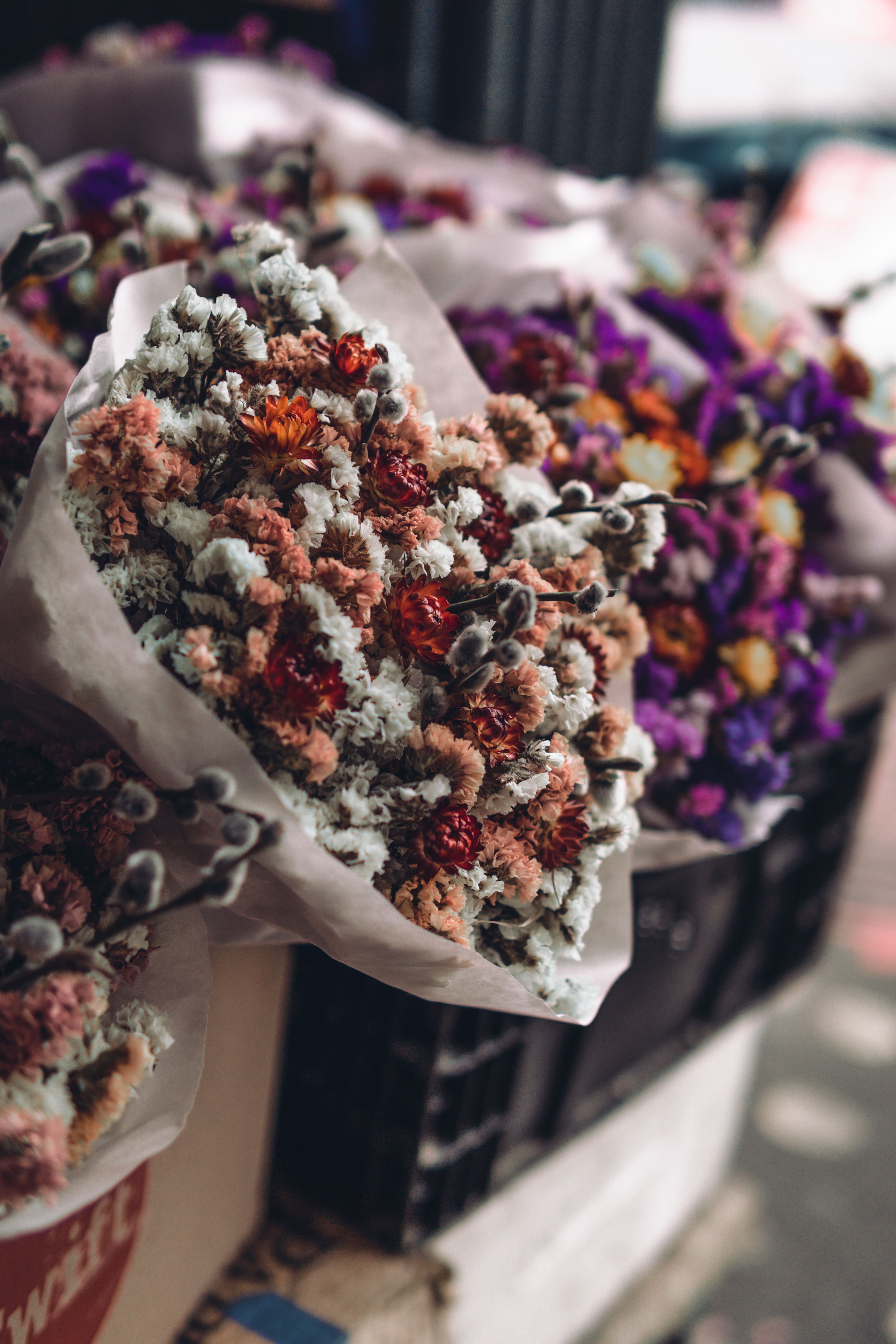 Foto de stock gratuita sobre de cerca, flores, fresco, pétalos, ramos ...