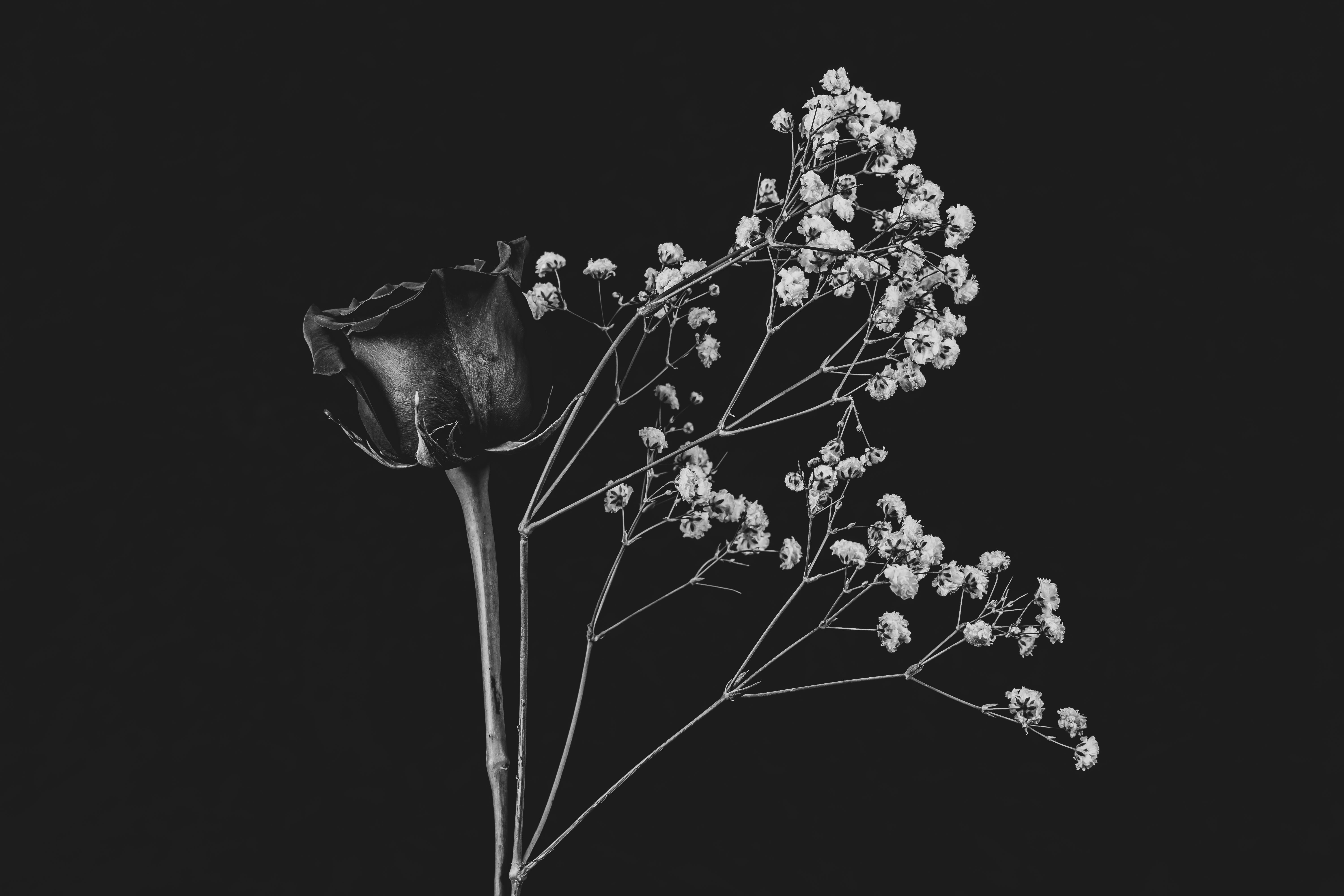 300.000+ Foto Dark Aesthetic For Laptop Wallpaper Terbaik · Unduh ...