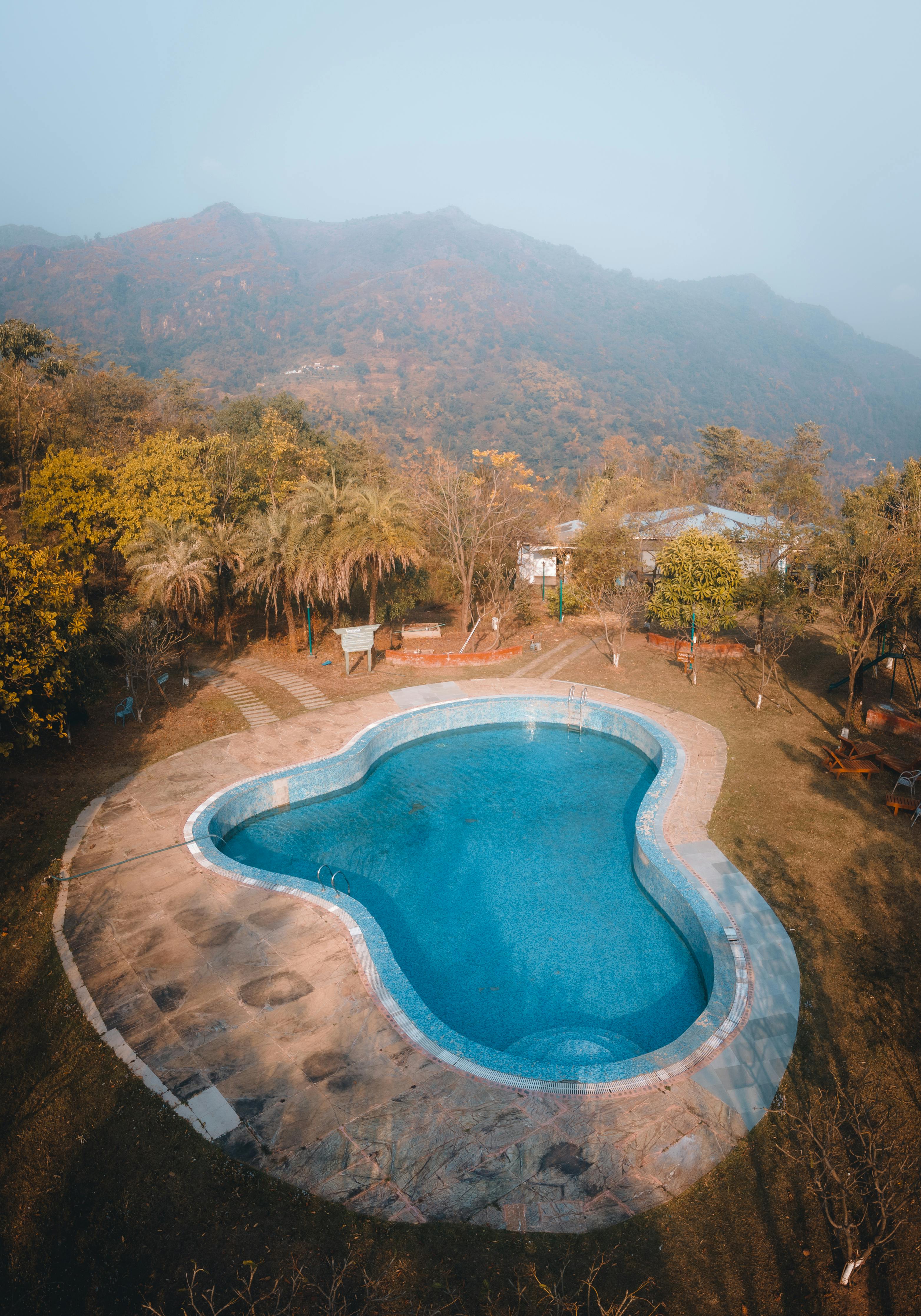 Swimming Pool among Trees · Free Stock Photo