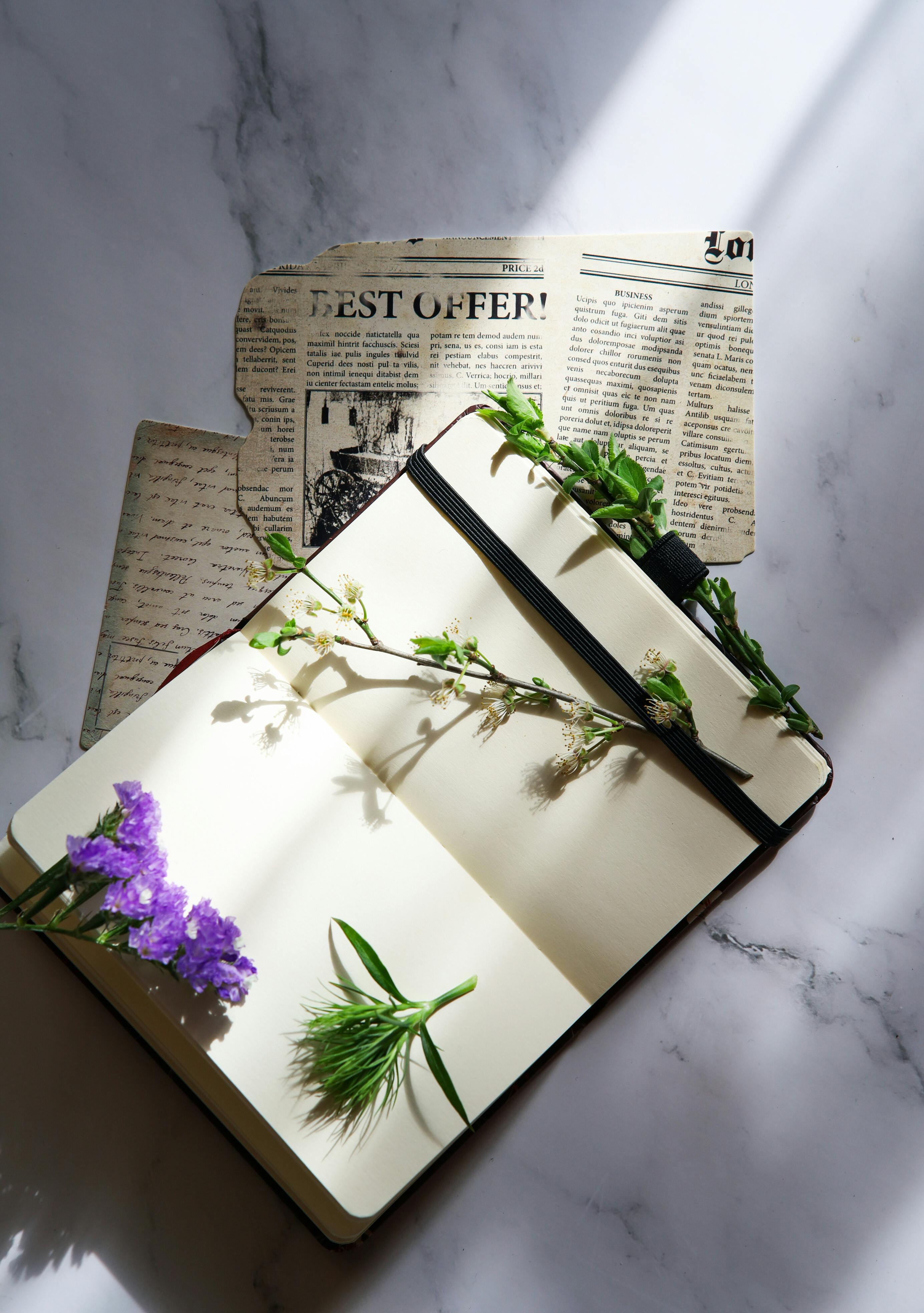 Top View of Notebooks and Flowers in Sunlight · Free Stock Photo