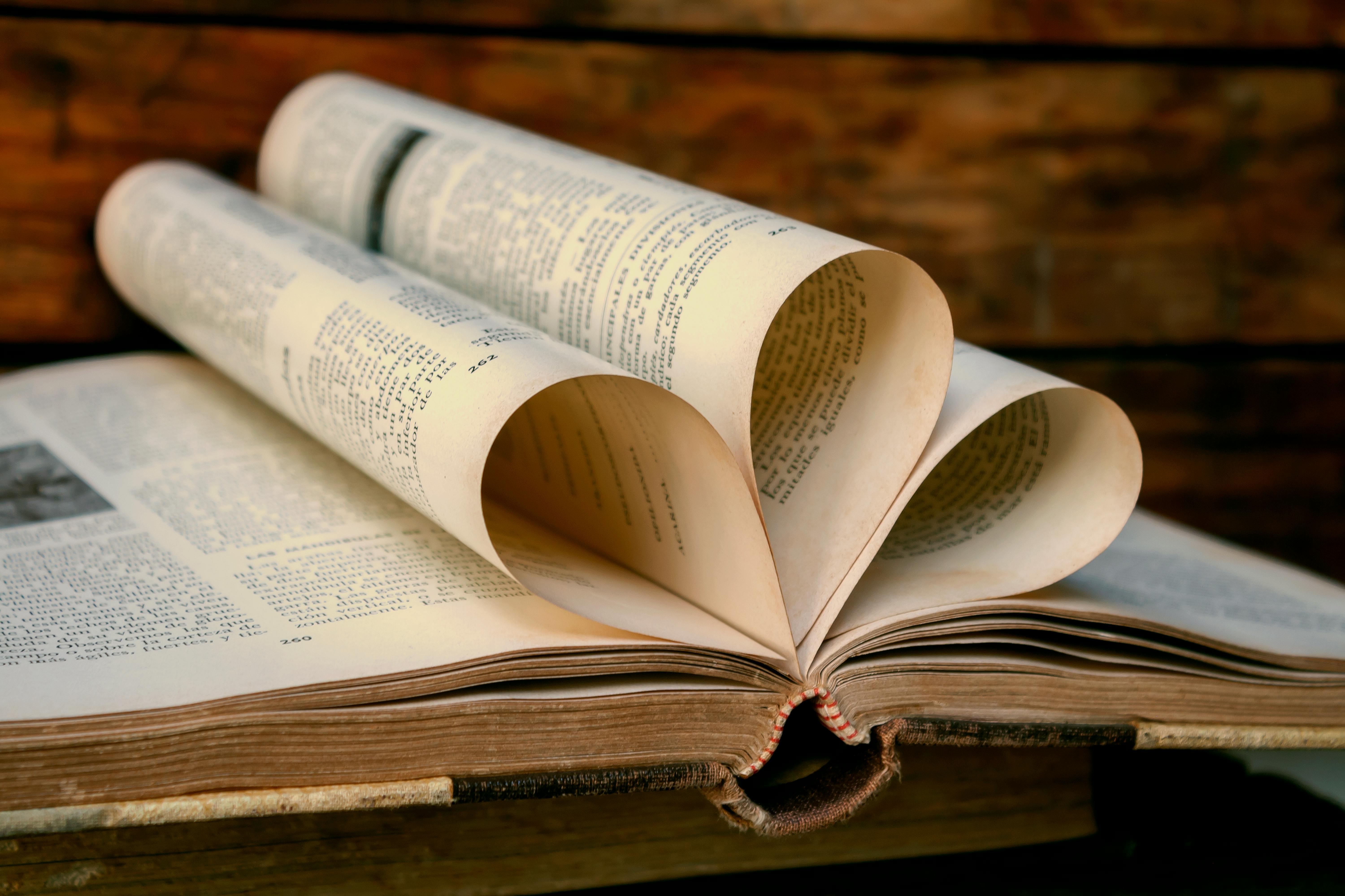 Yellowed Pages of an Old Book Rolled into a Roll · Free Stock Photo