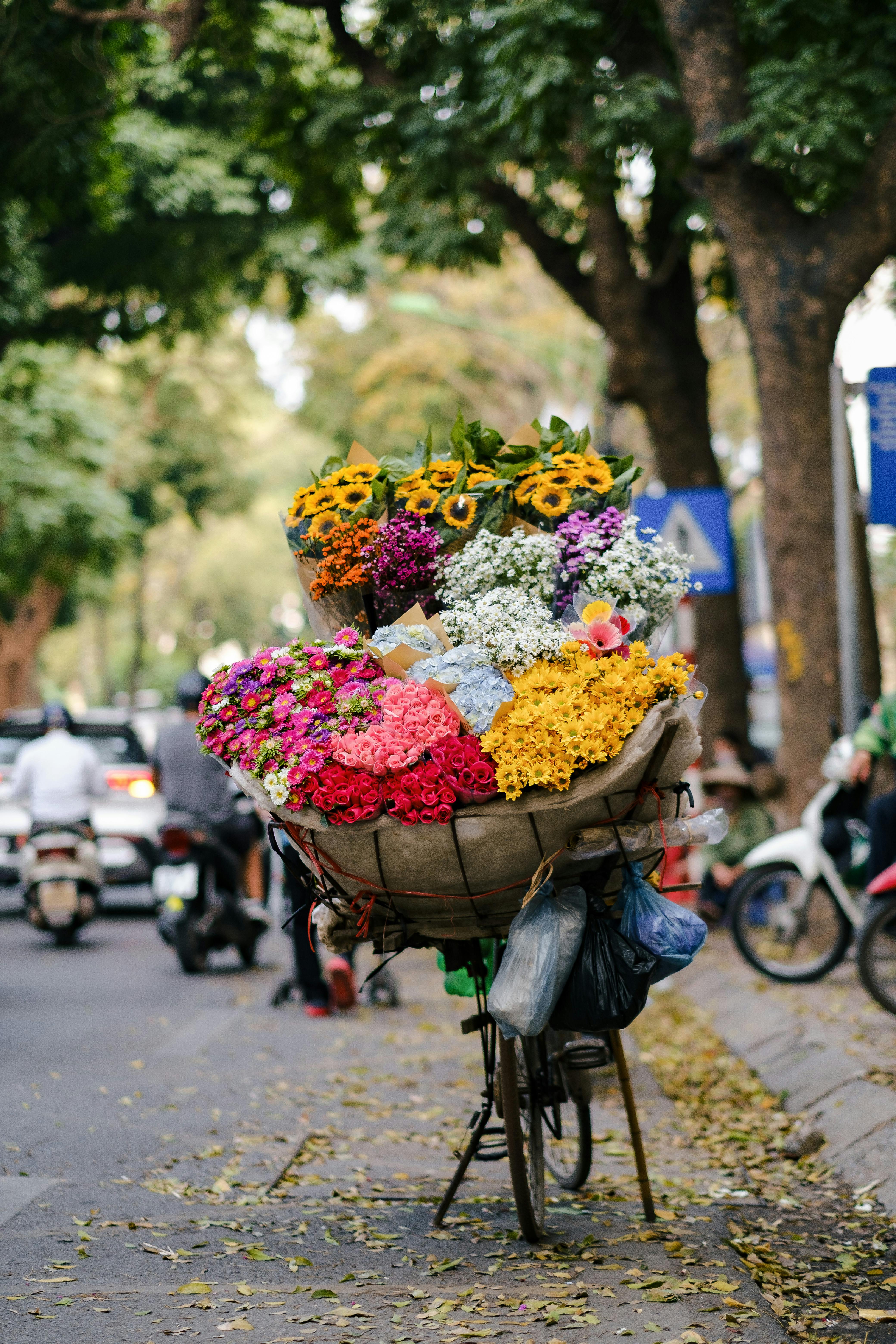 Colorful Flowers on Bicycle · Free Stock Photo