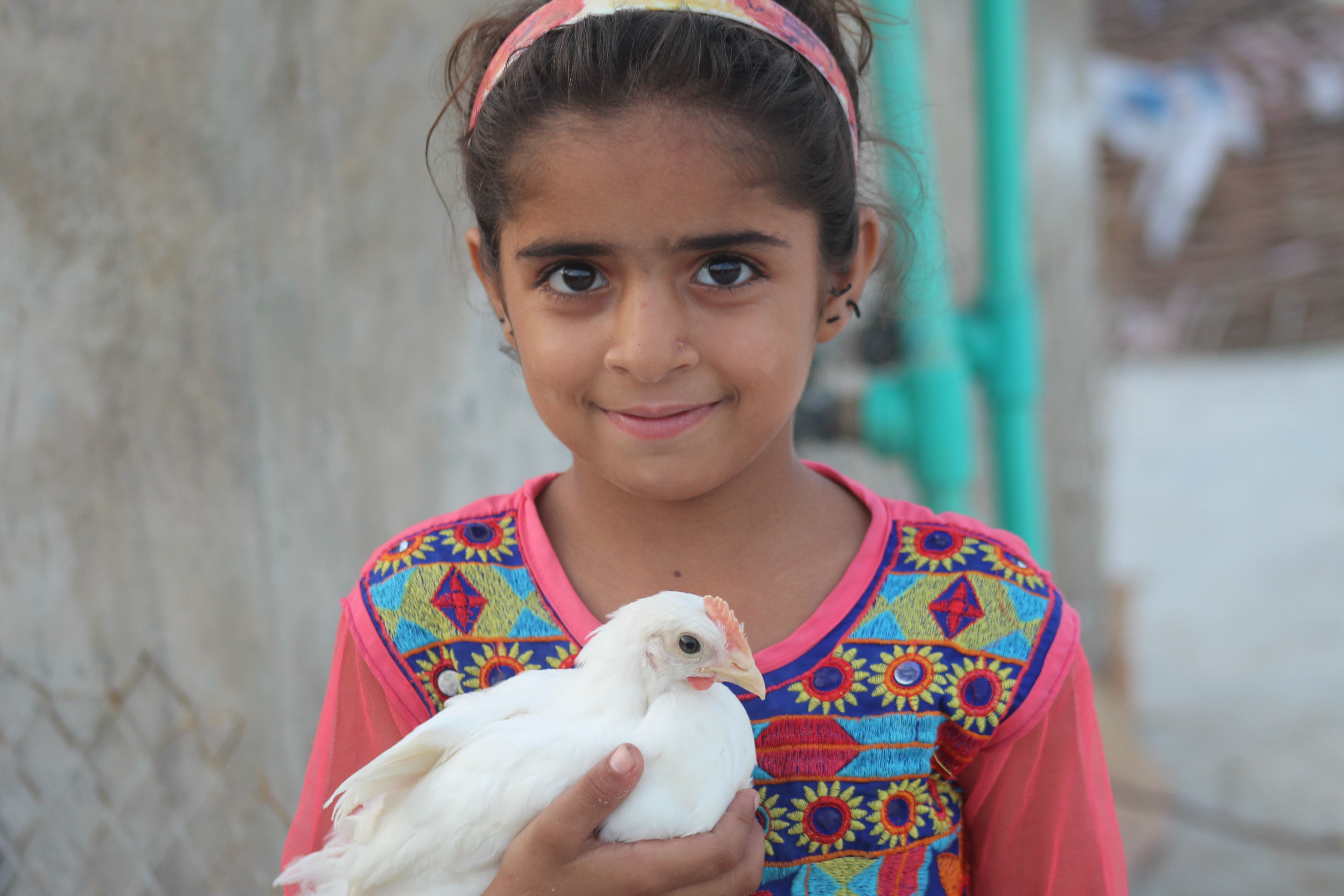 Portrait of Girl with Hen · Free Stock Photo