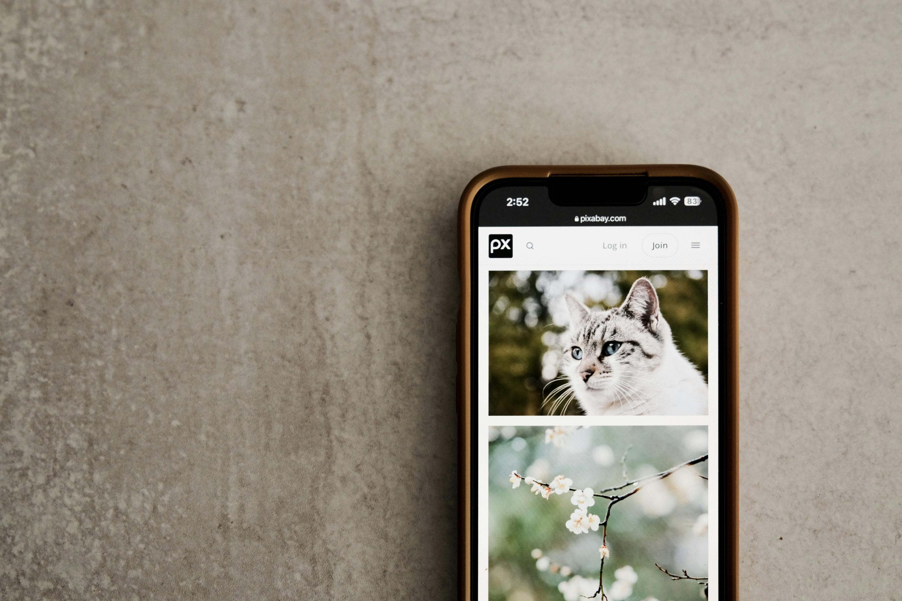 20mb Pictures Photos, Download The BEST Free 20mb Pictures Stock Photos ...