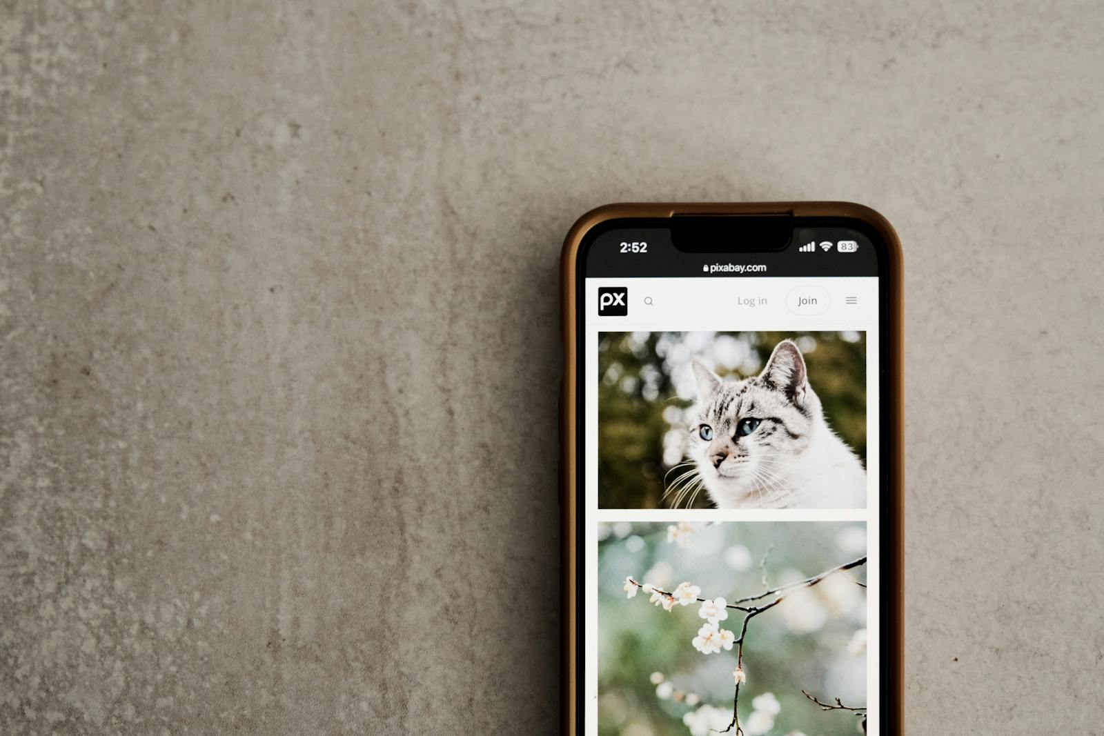 20mb Pictures Photos, Download The BEST Free 20mb Pictures Stock Photos ...