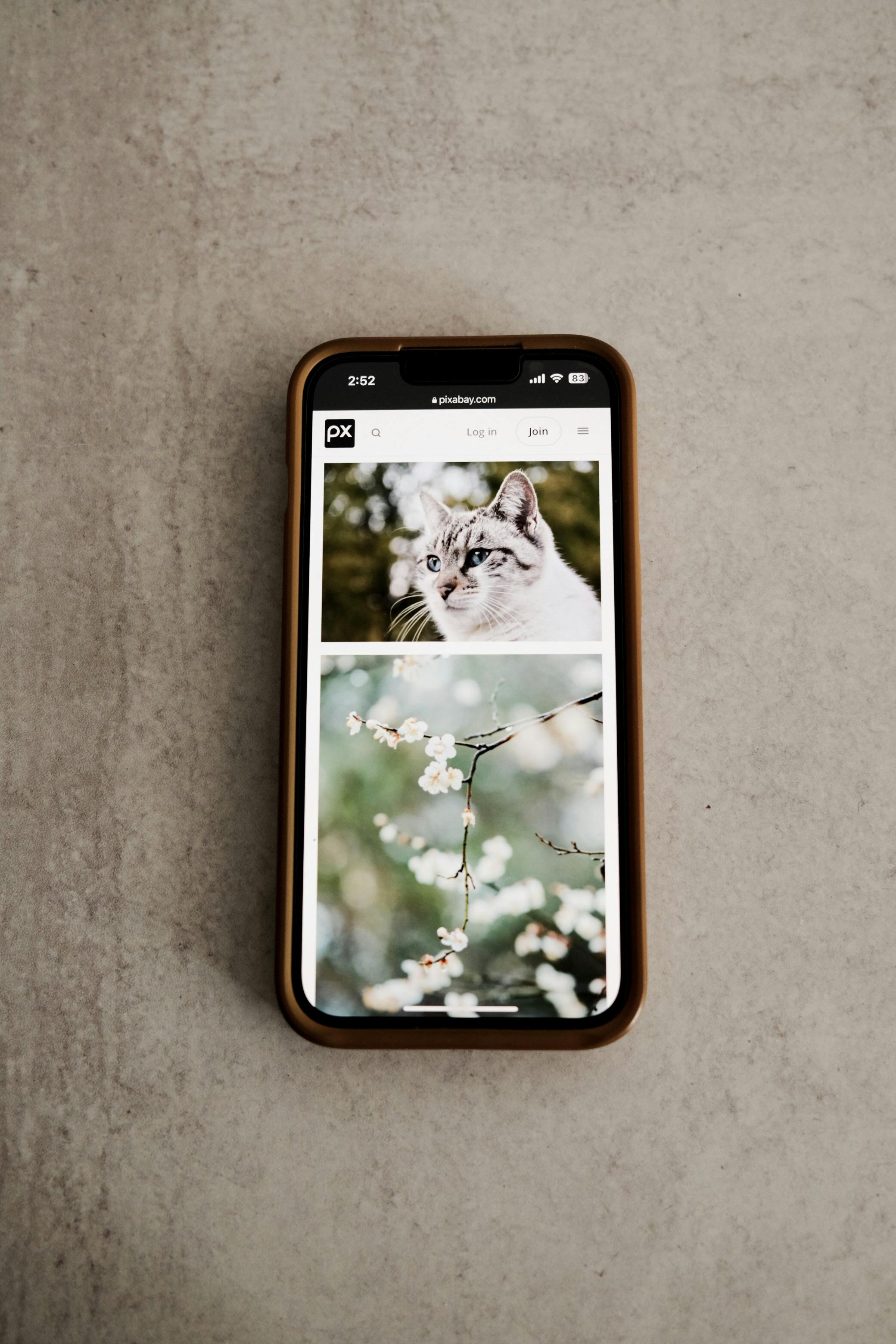 20mb Pictures Photos, Download The BEST Free 20mb Pictures Stock Photos ...