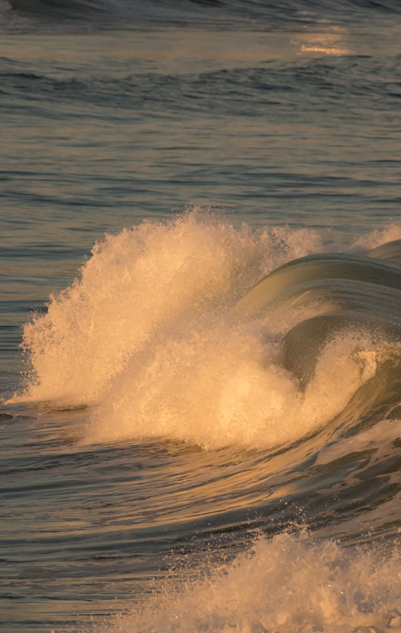 Wave. Photos, Download The BEST Free Wave. Stock Photos & HD Images