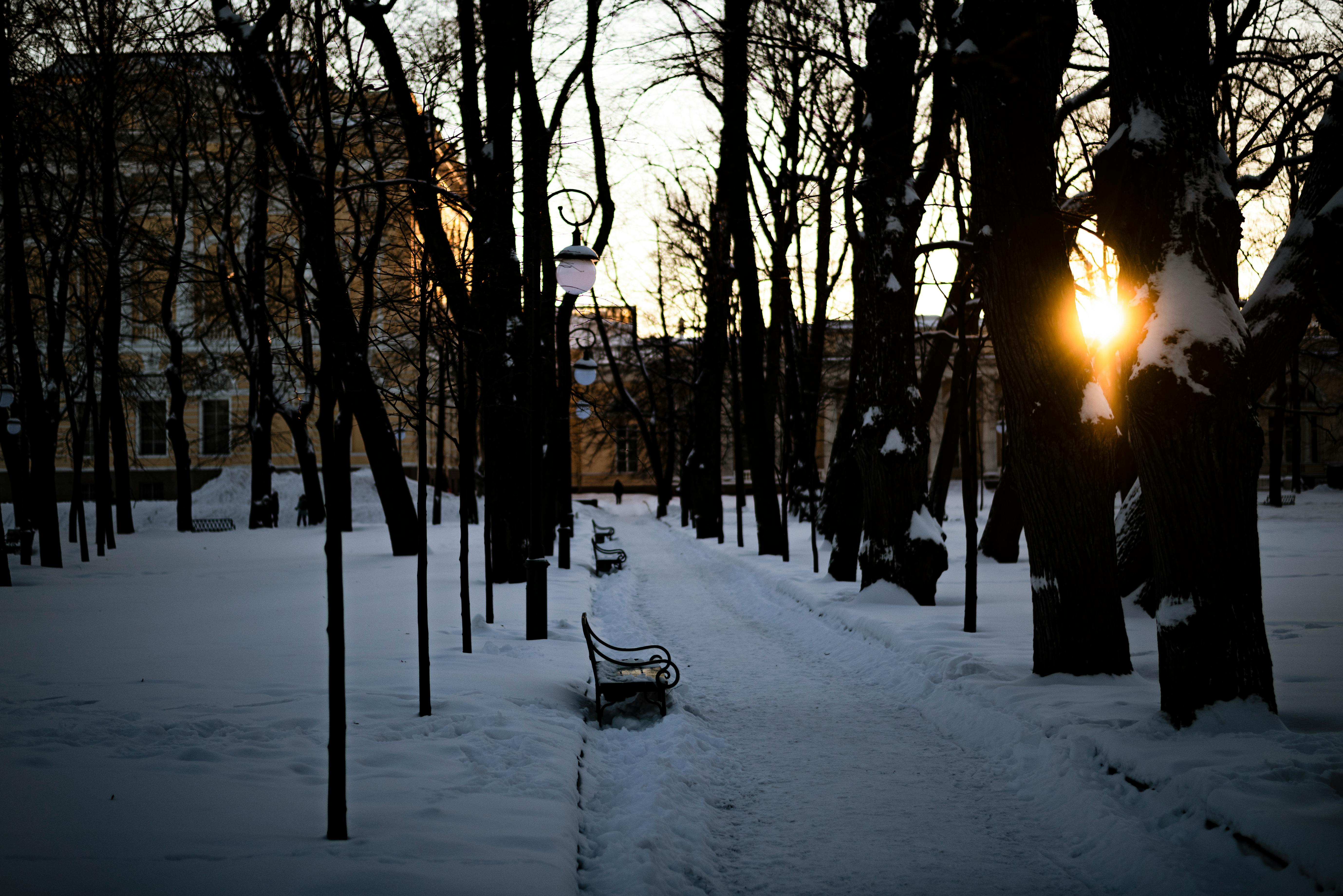 Buildings in Snow and Sunlight at Dawn · Free Stock Photo