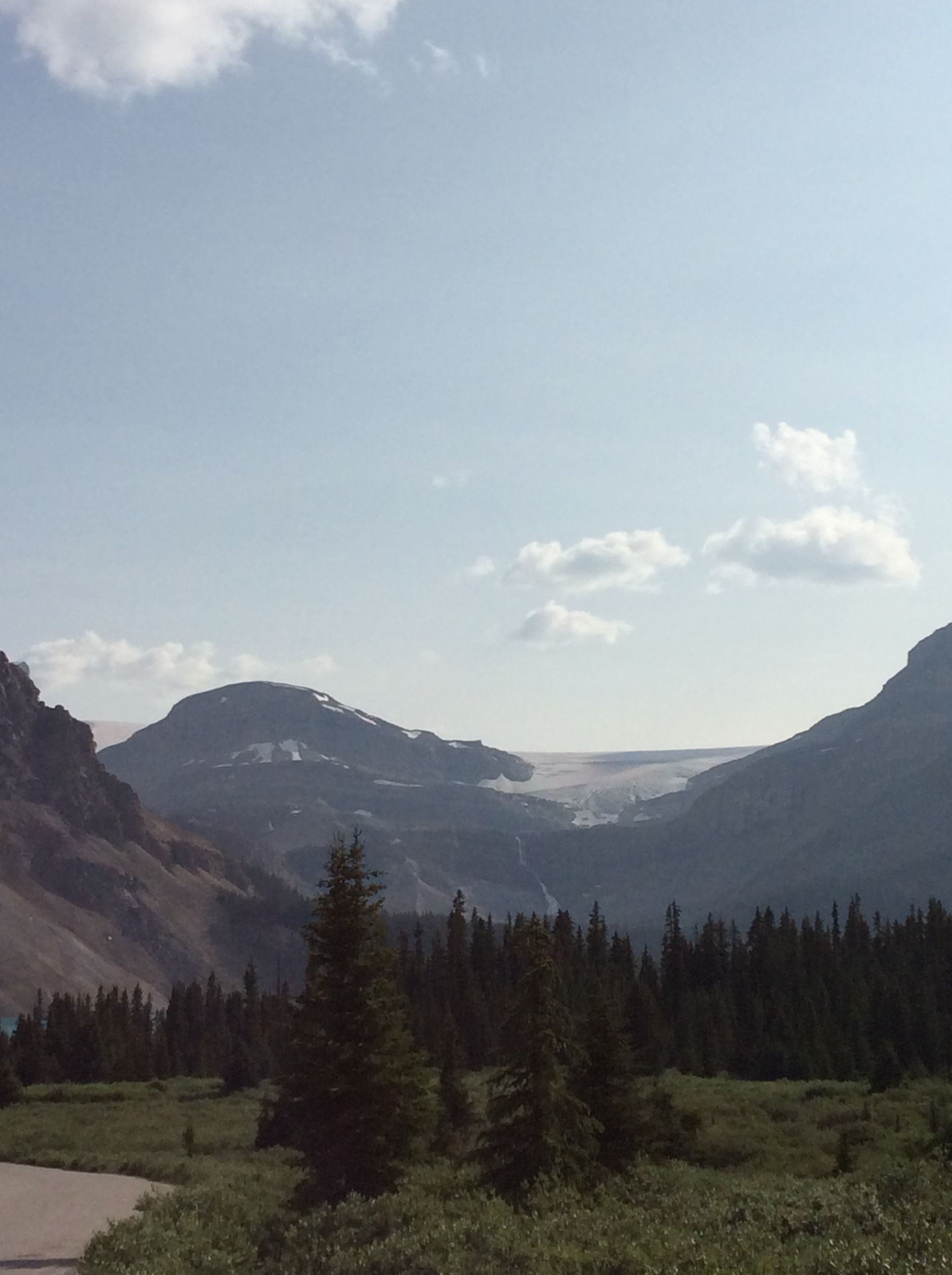 Coniferous Forest in Mountain Landscape · Free Stock Photo
