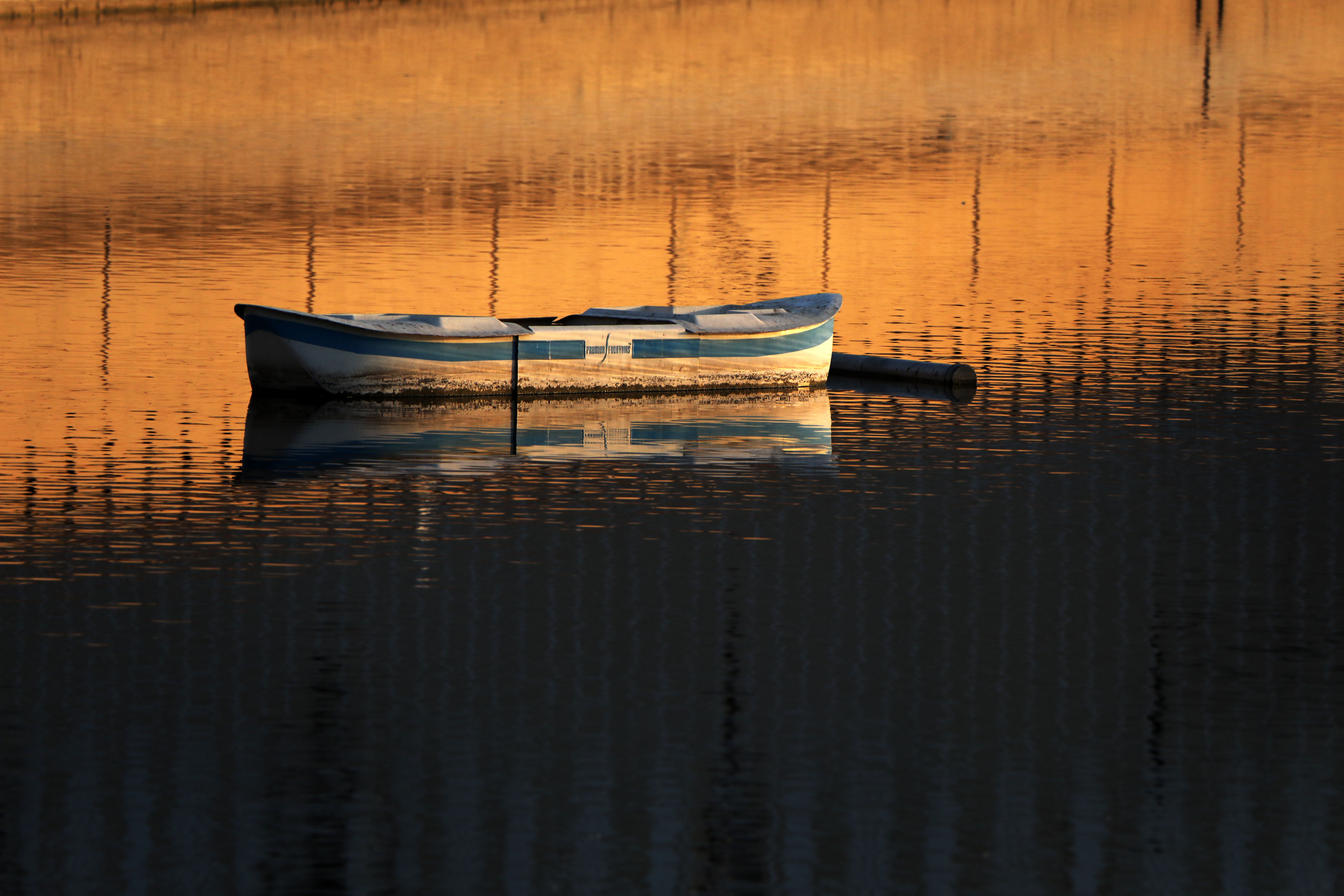Sailboat on Body of Water during Sunset · Free Stock Photo