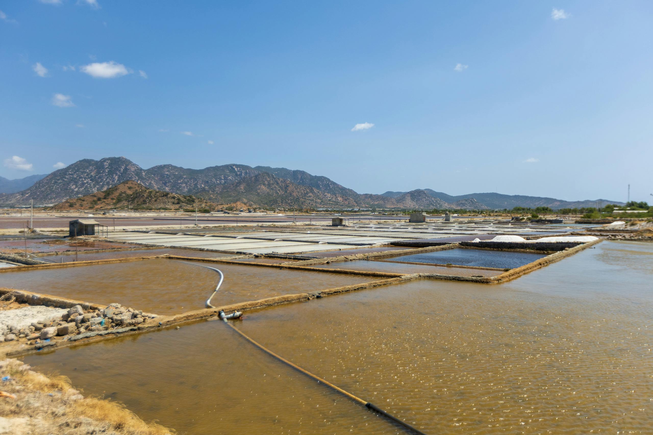 Clear Sky over Water Fields · Free Stock Photo
