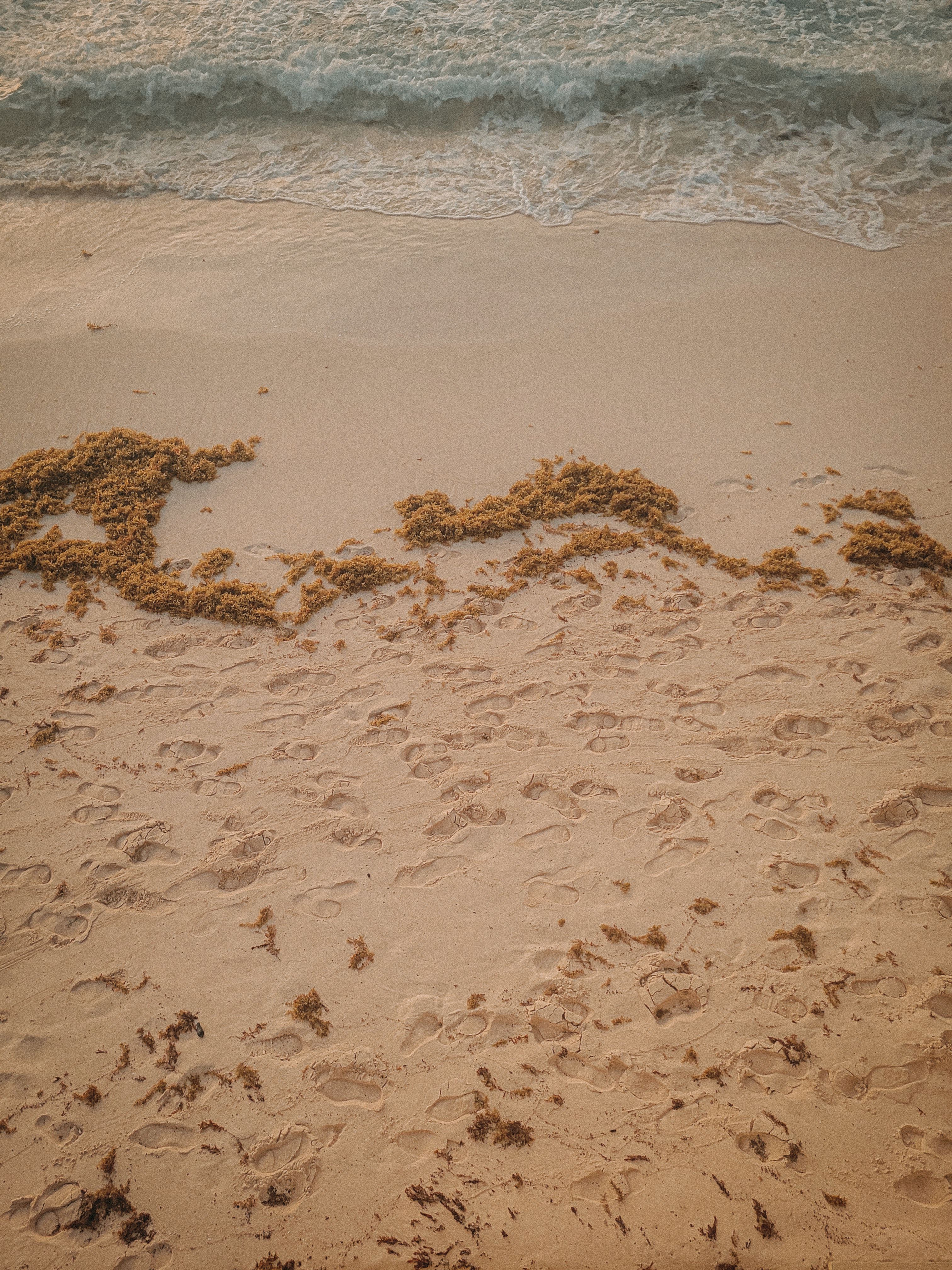 Wave on Beach · Free Stock Photo