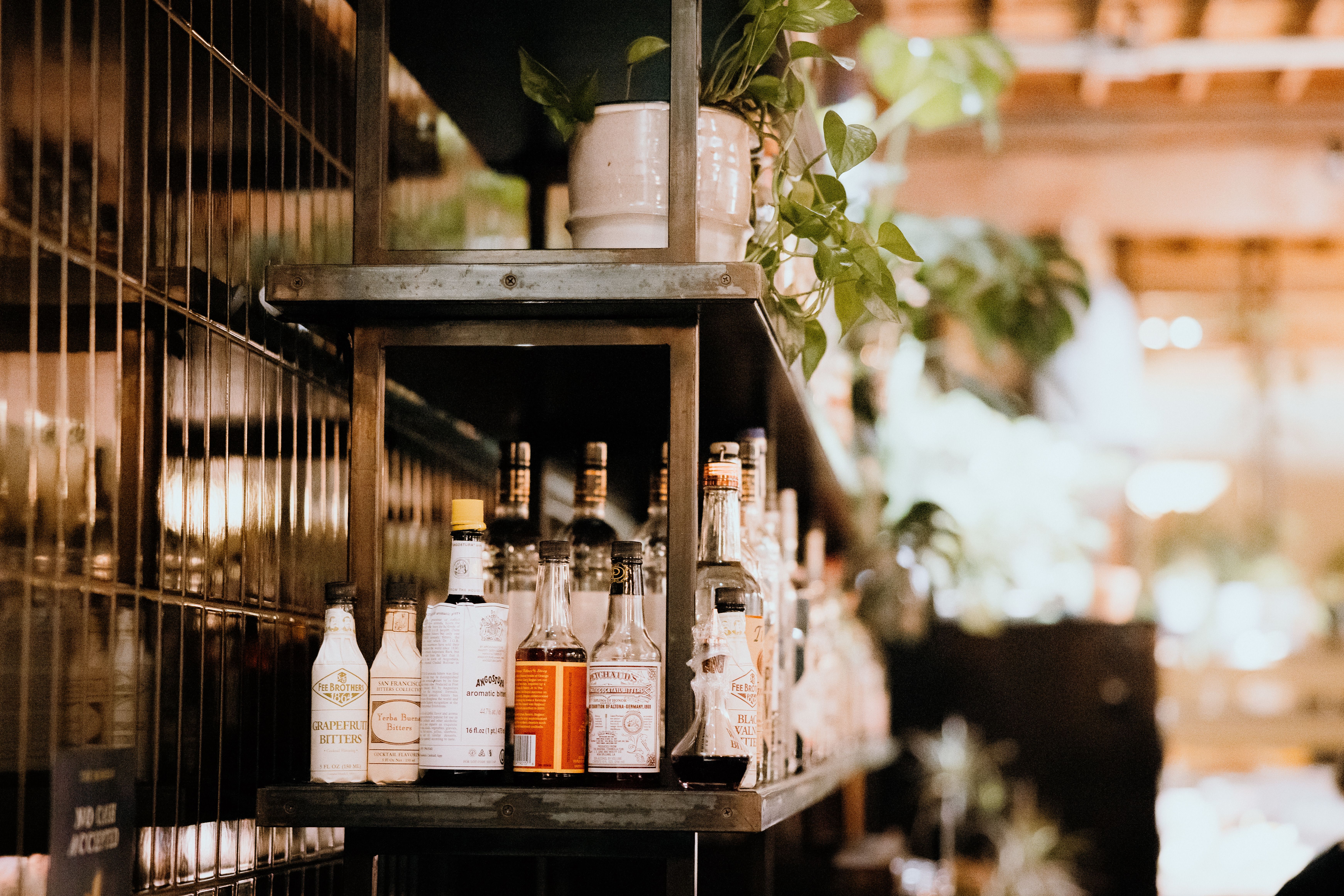 Collection of Alcohol Bottles · Free Stock Photo