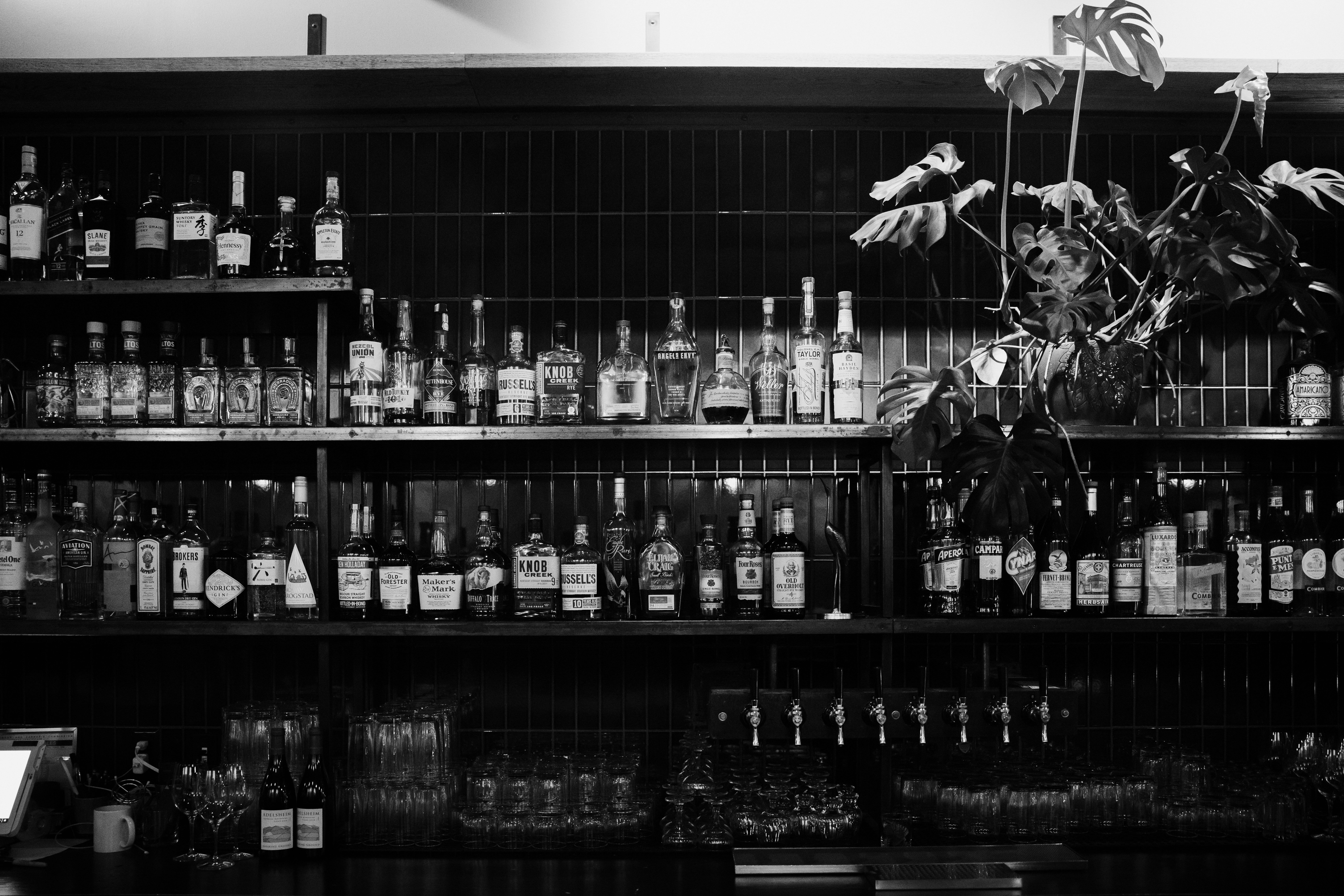Foto de stock gratuita sobre alcohol, ambiente, asientos, bar, barman ...