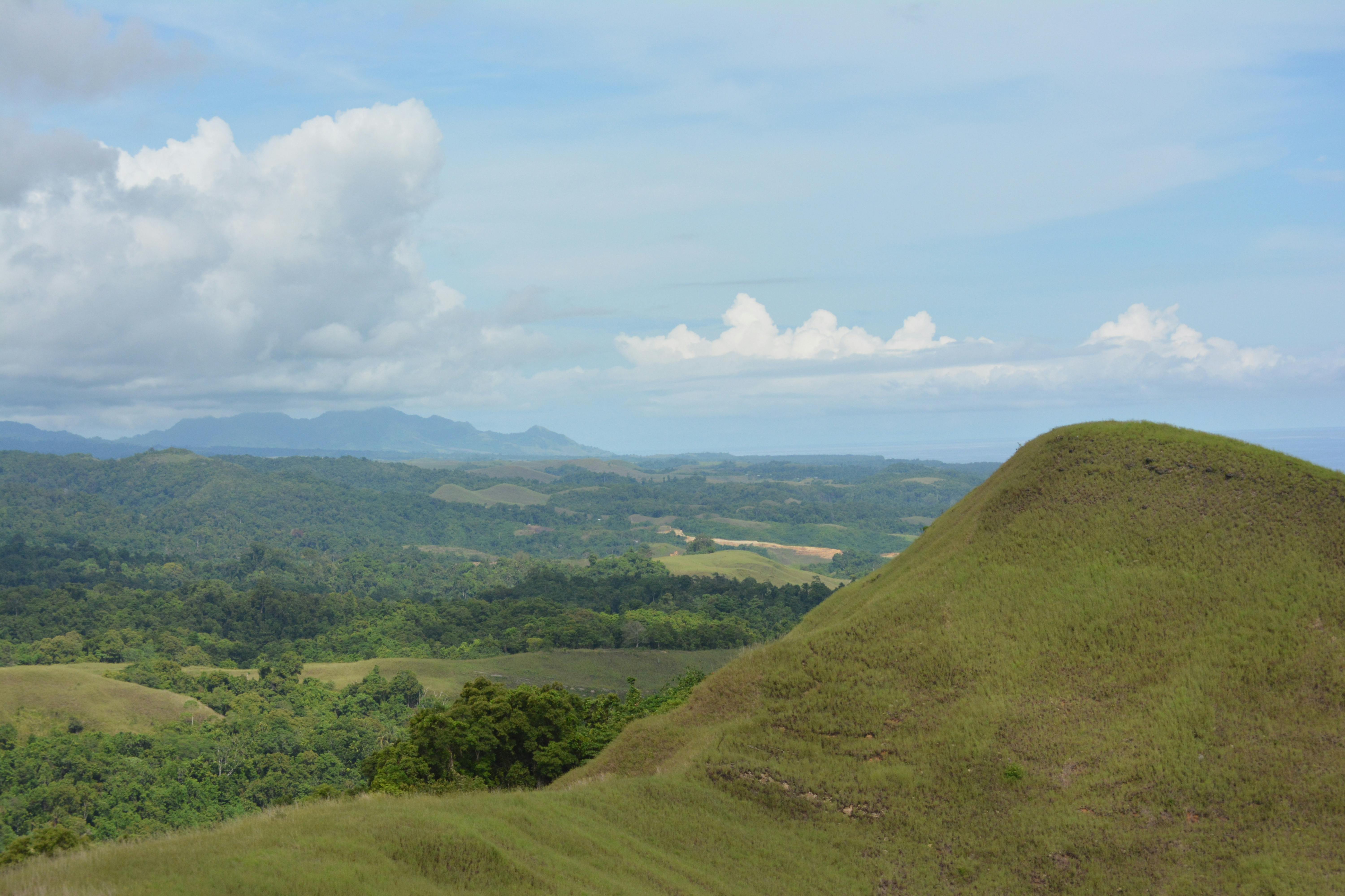 Woods on Plains · Free Stock Photo