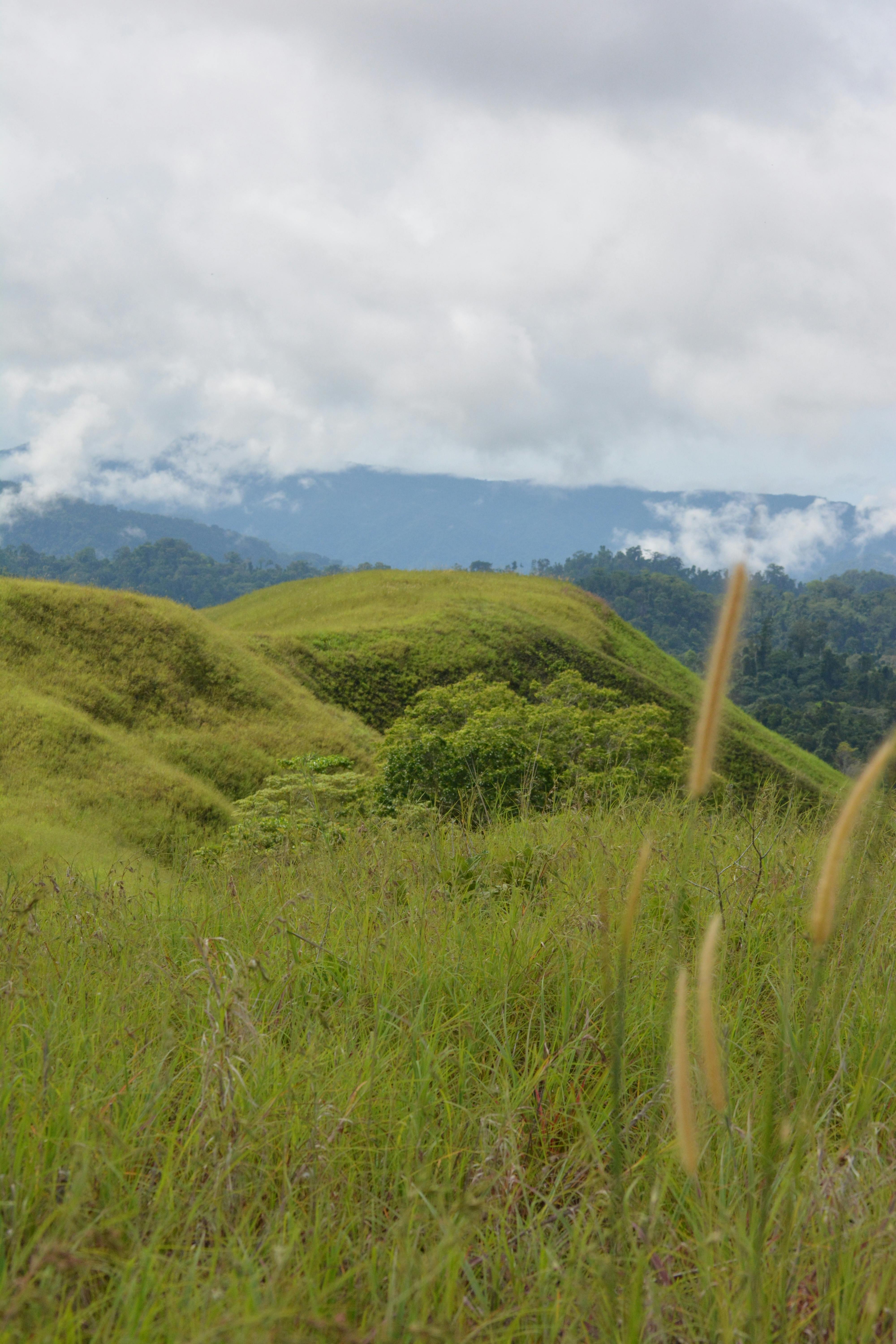 Mountain Tracker Photos, Download The BEST Free Mountain Tracker Stock ...