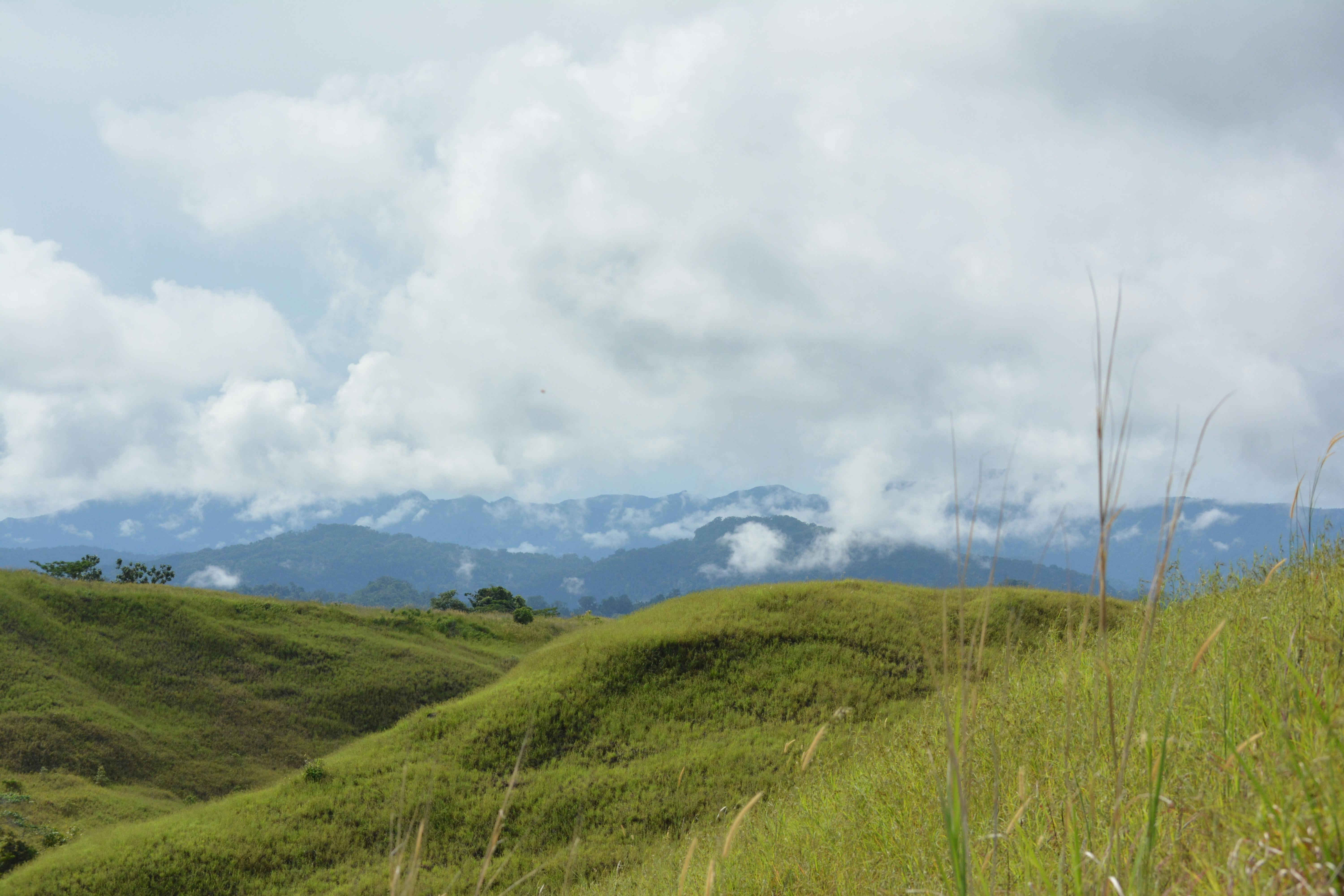 Scotland Rolling Hills Countryside Photos, Download The BEST Free ...