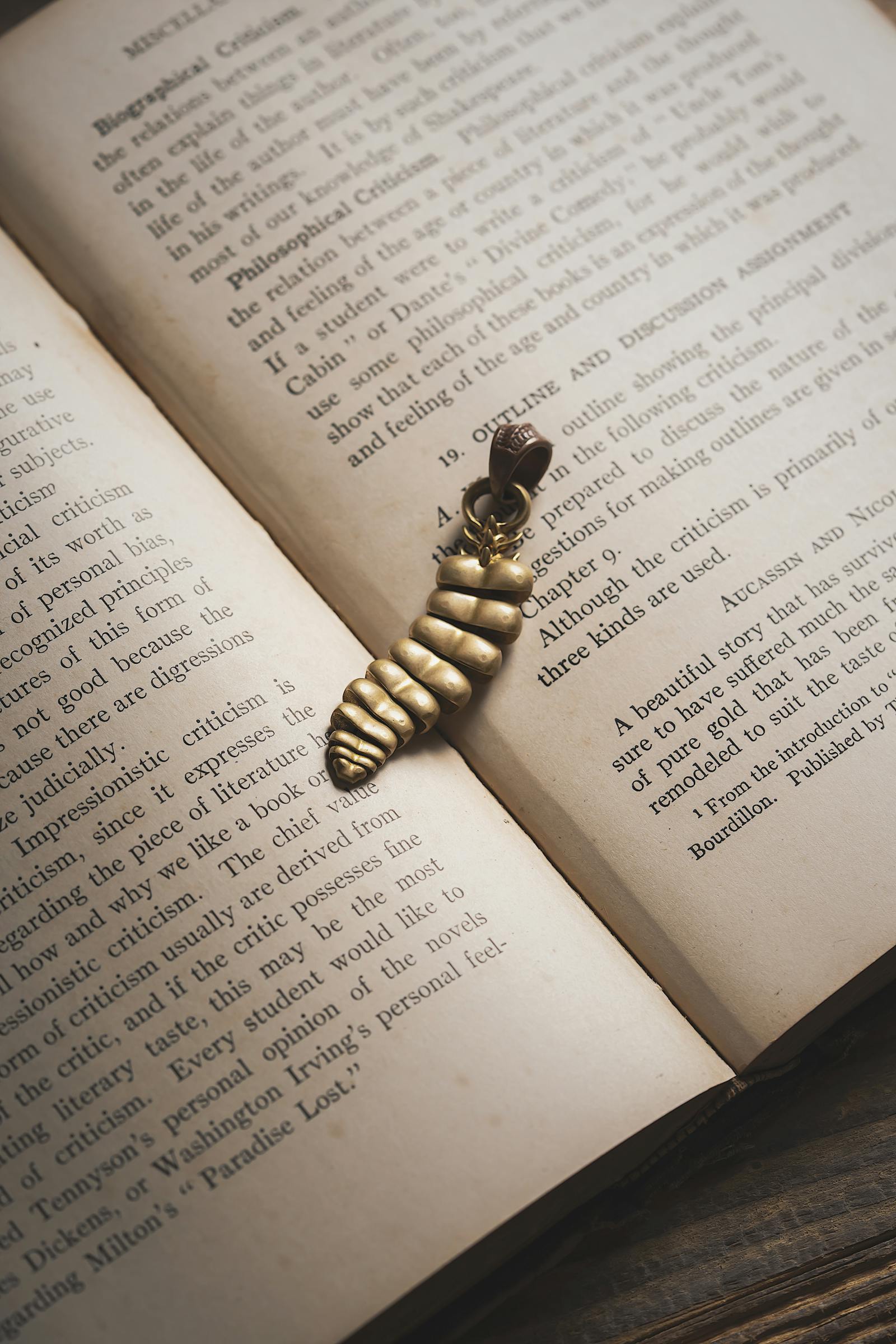 Dragon Images Photos, Download The BEST Free Dragon Images Stock Photos ...