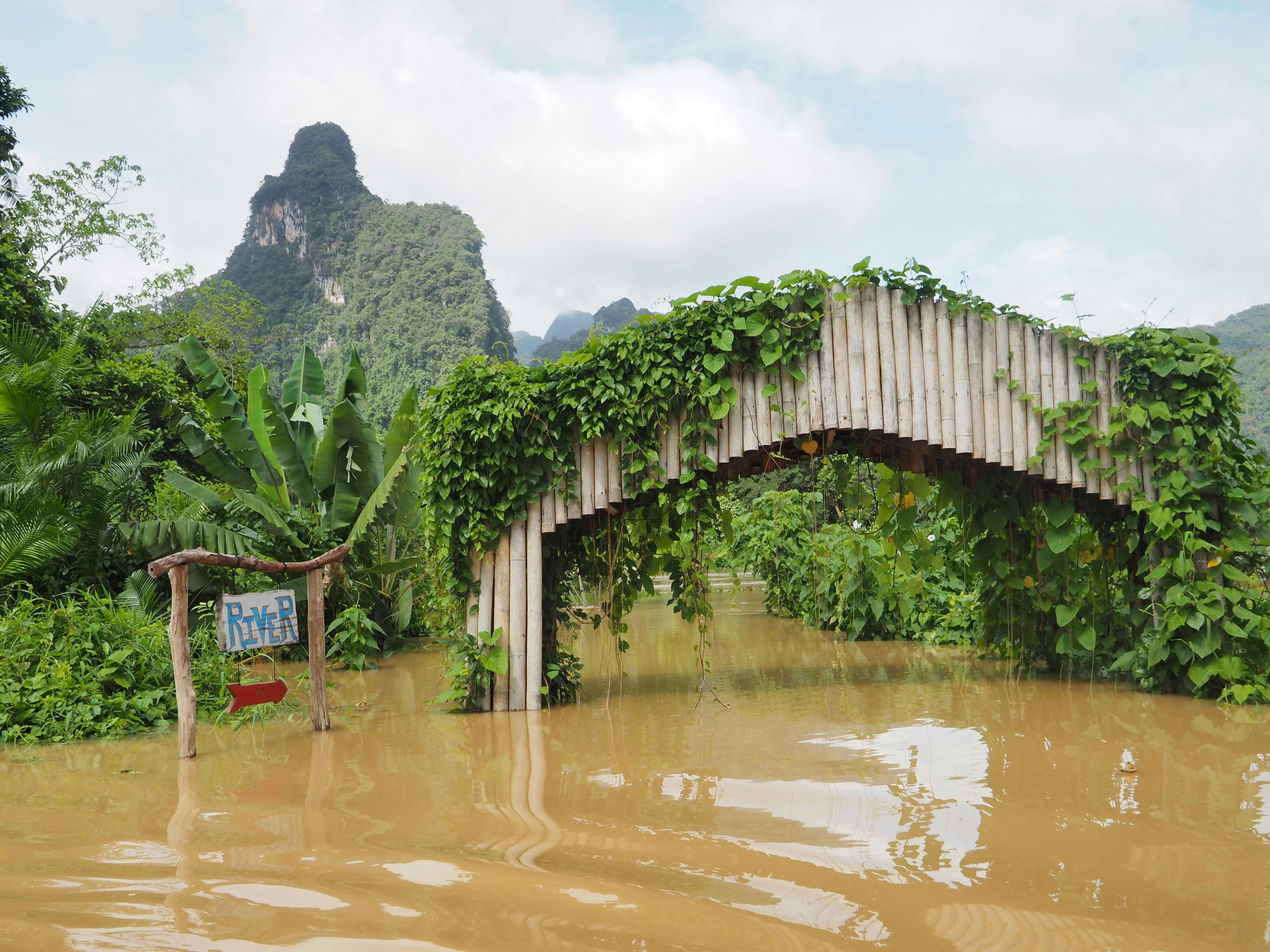 Exotic Landscape with a Bridge Over a Muddy River · Free Stock Photo