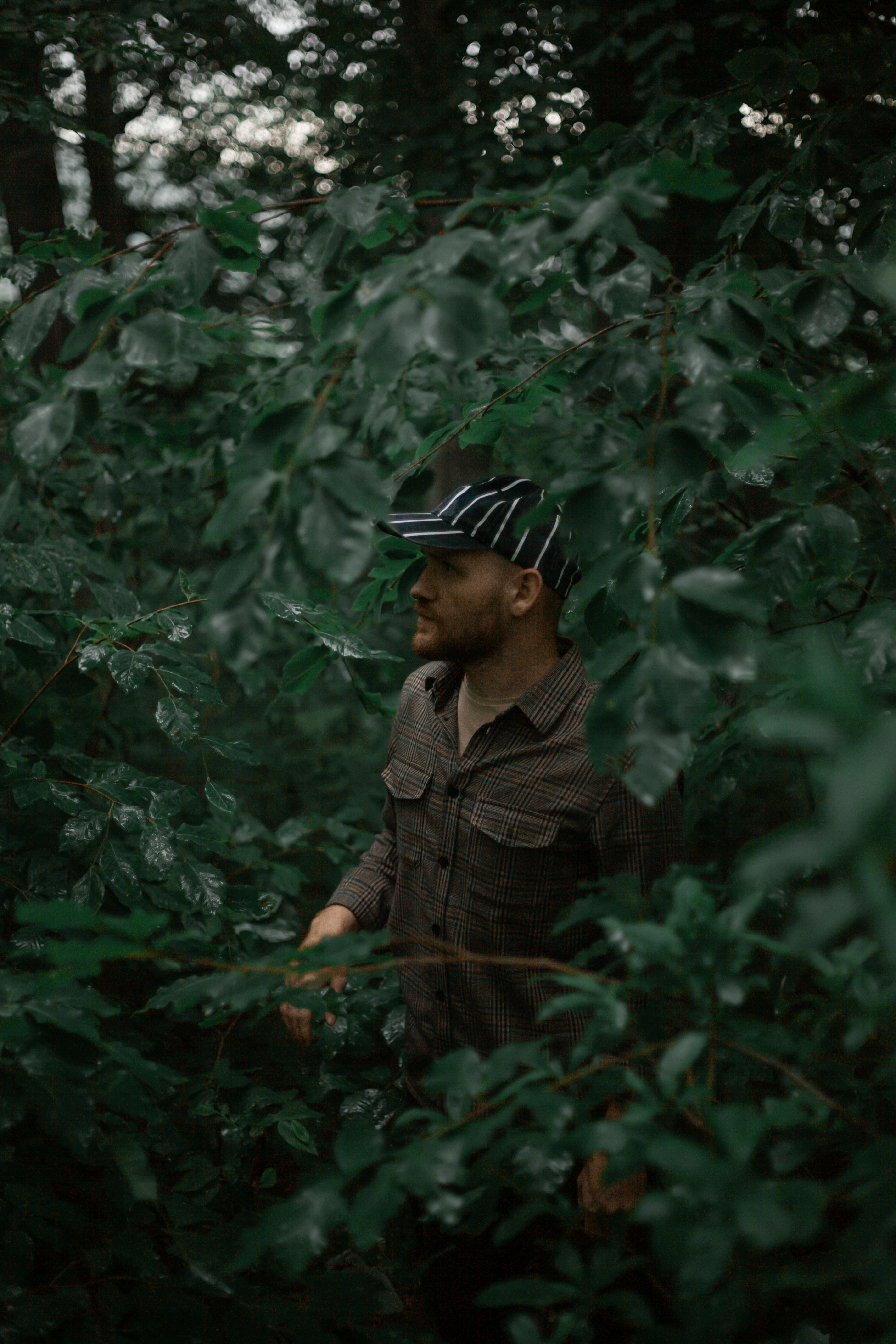A Man in the Bush · Free Stock Photo