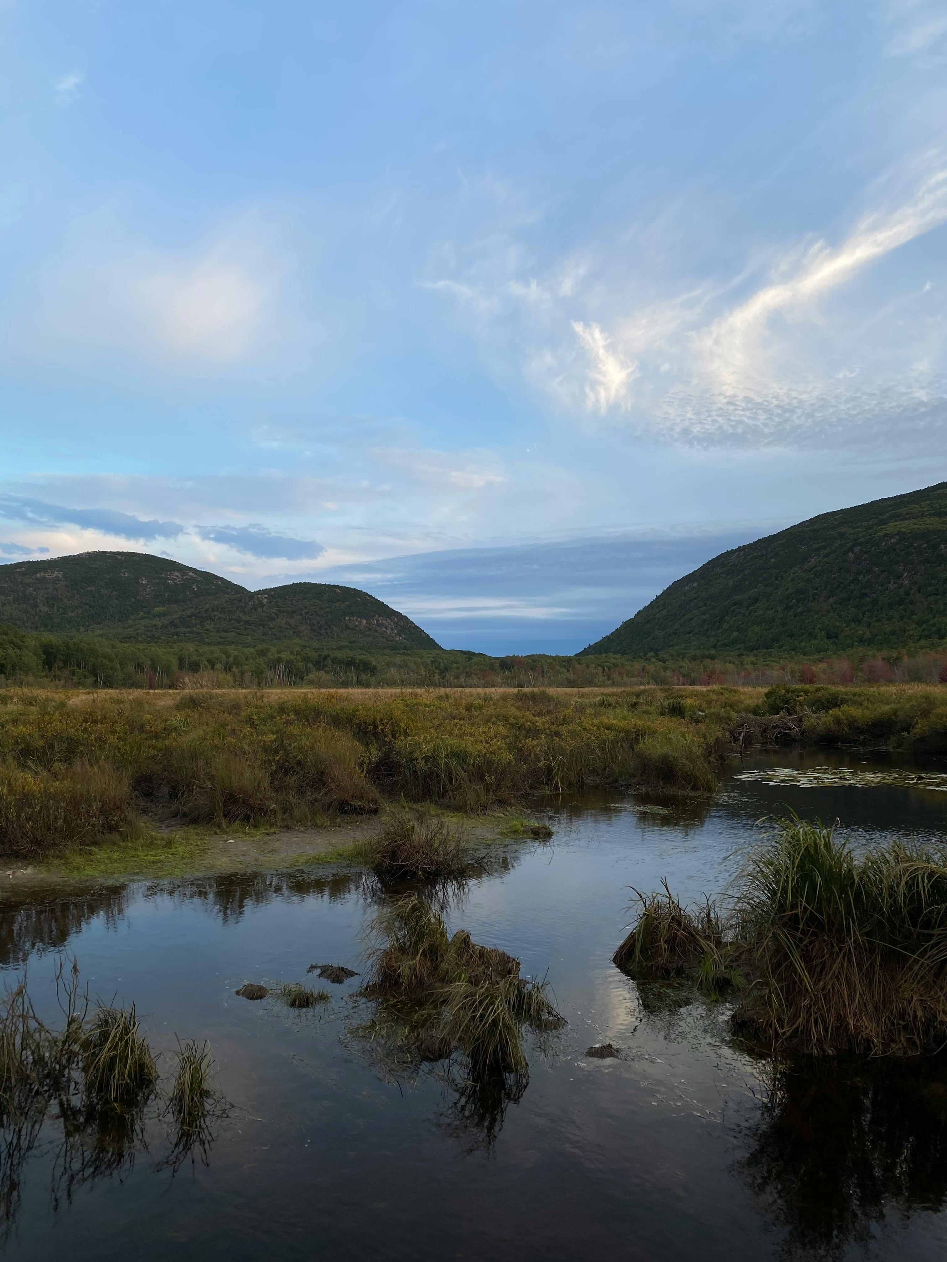 Scenic Landscape of a Wetland · Free Stock Photo