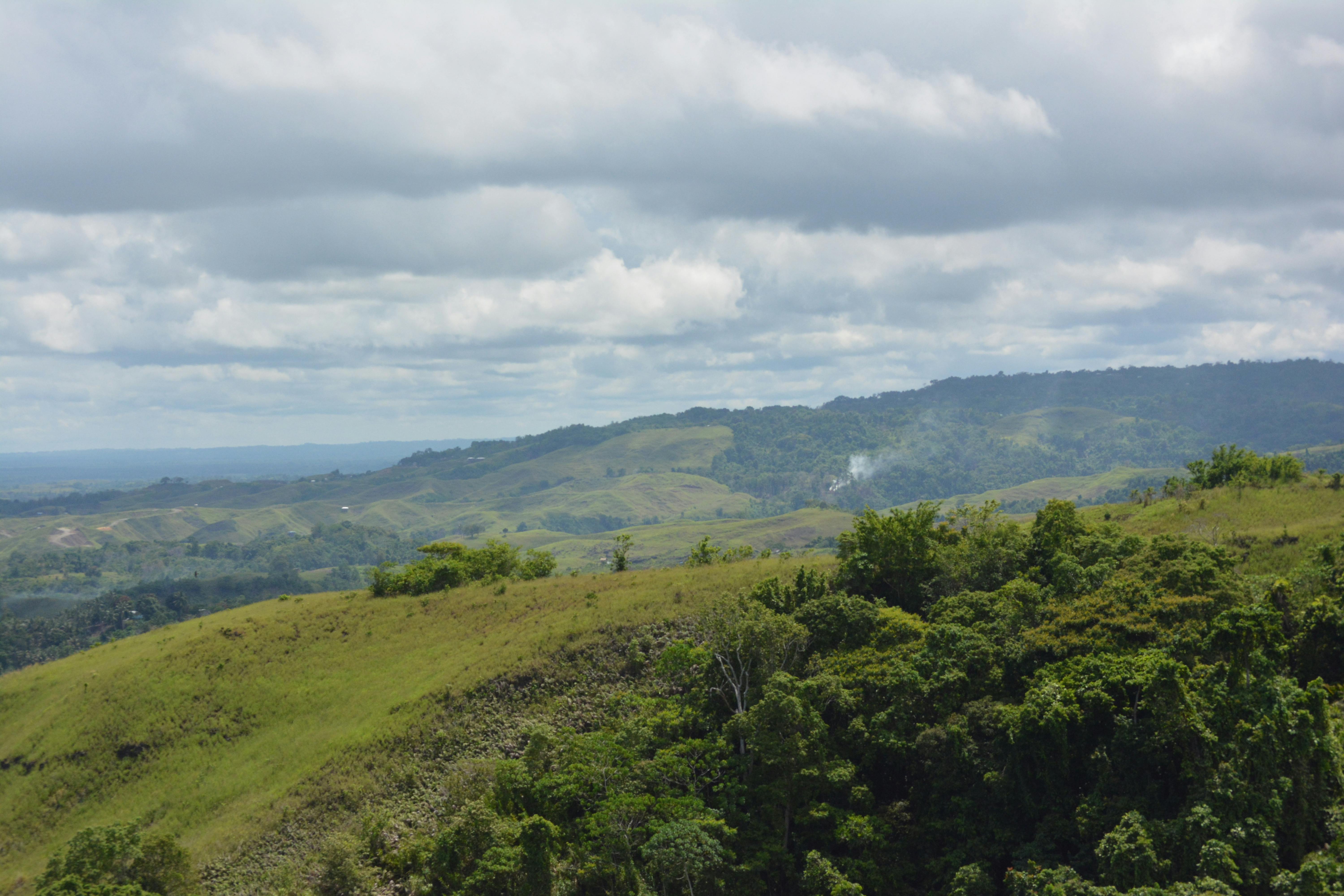 Overcast over Hill and Trees on Plains · Free Stock Photo