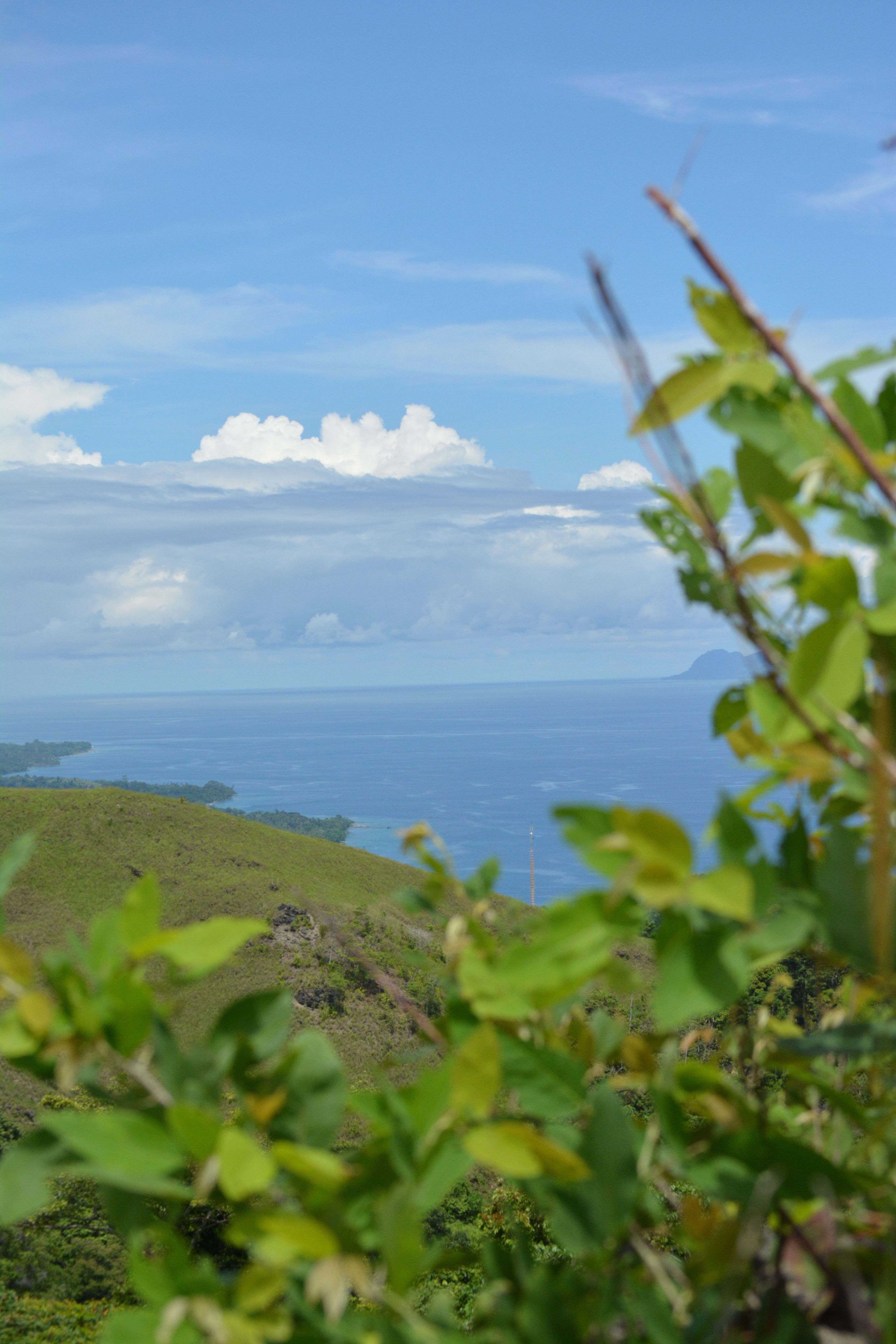 Green Sea Coast · Free Stock Photo