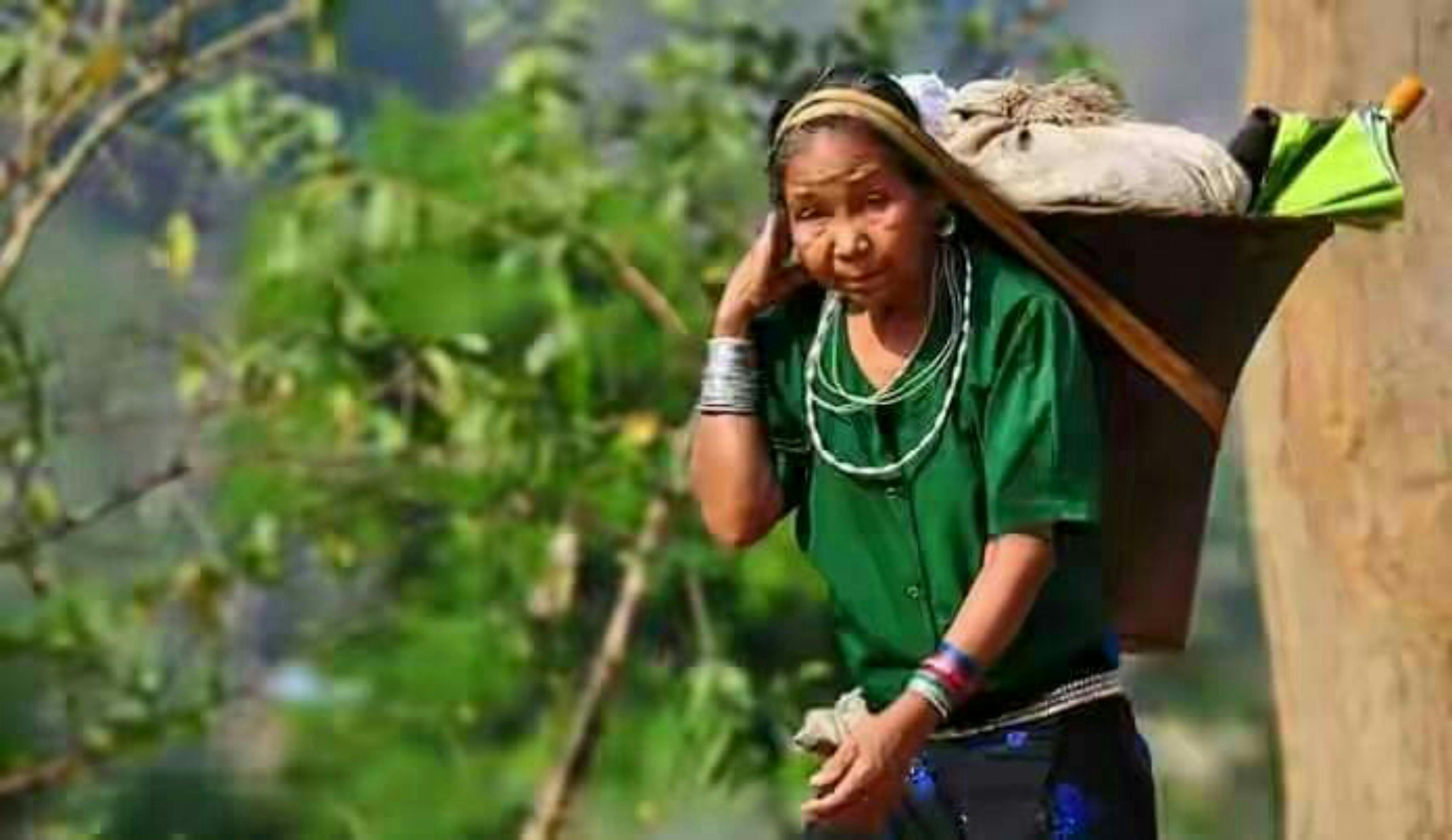 Free stock photo of All indigenous, HD wallpaper, indigenous