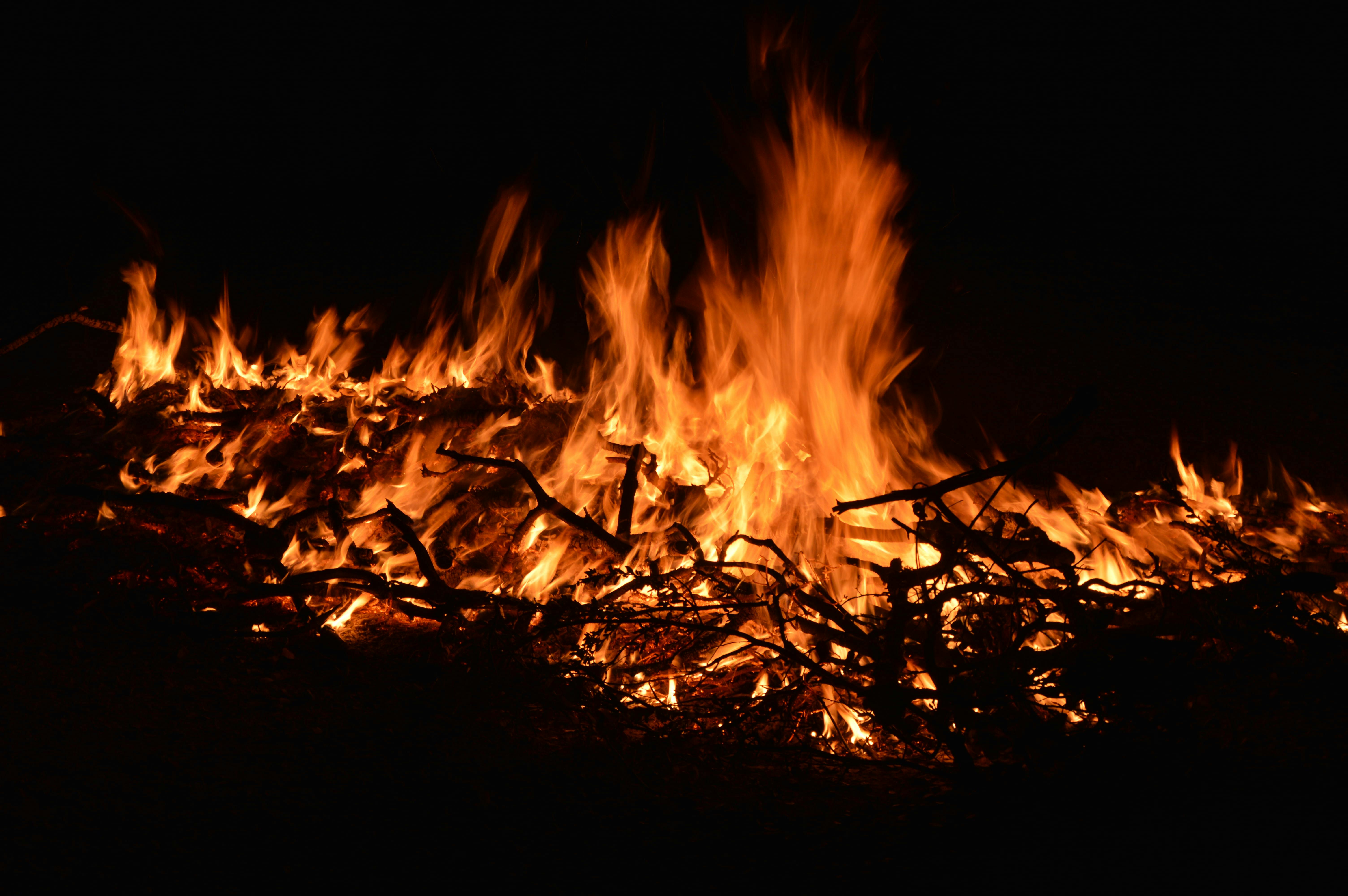 Fire at Night Outdoors · Free Stock Photo