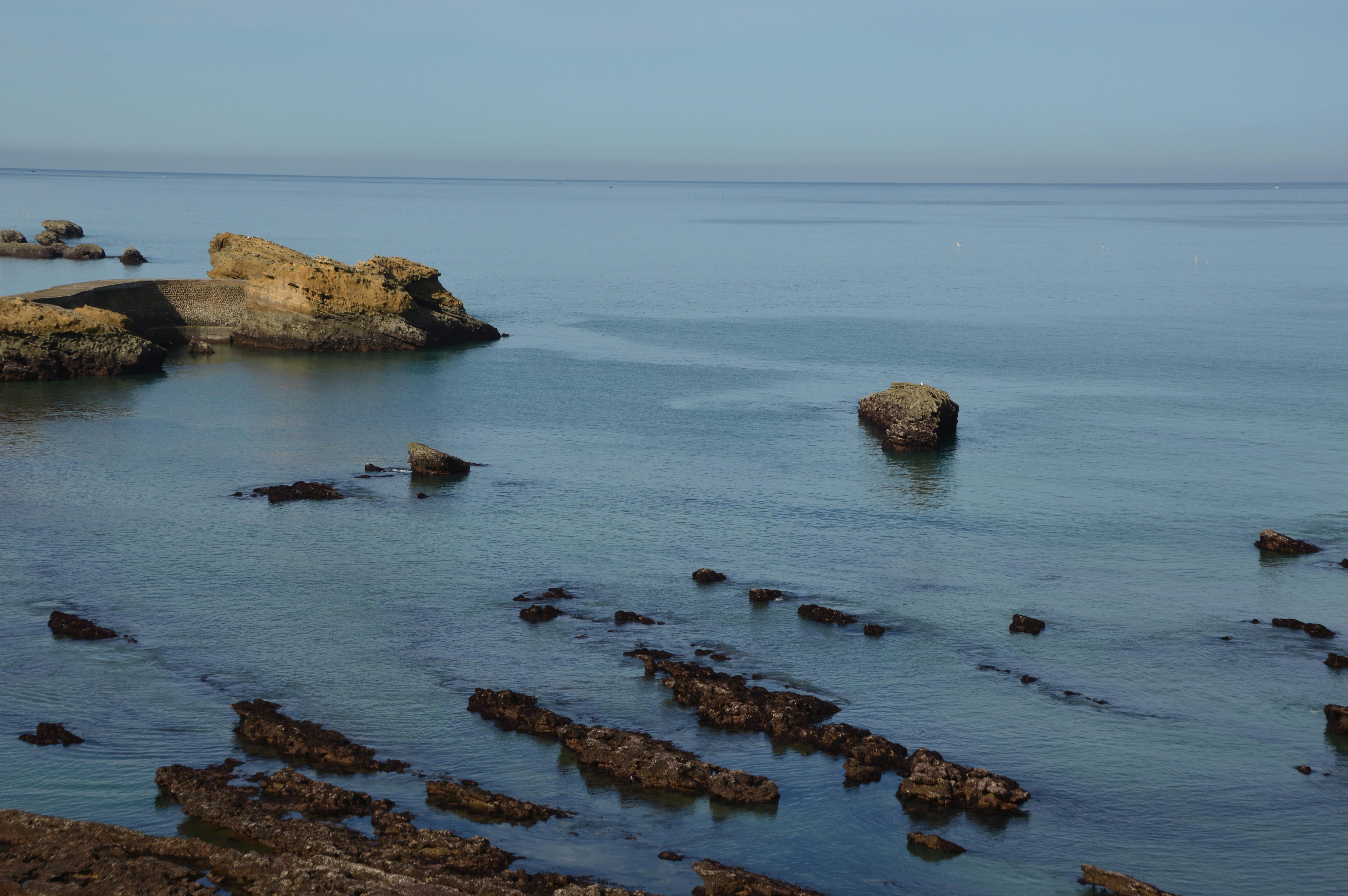Stones on Sea Shore · Free Stock Photo