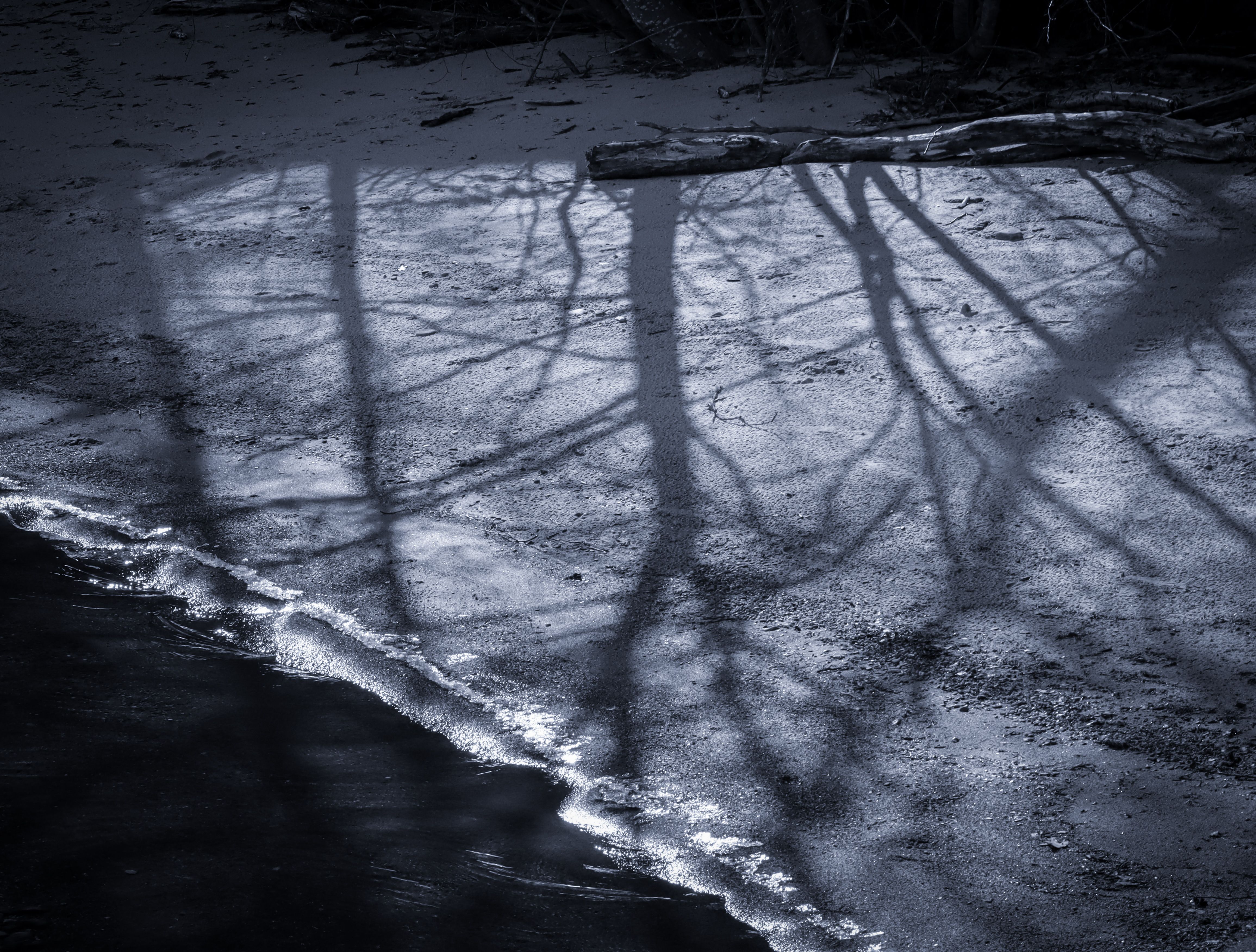 Shadows on Beach · Free Stock Photo