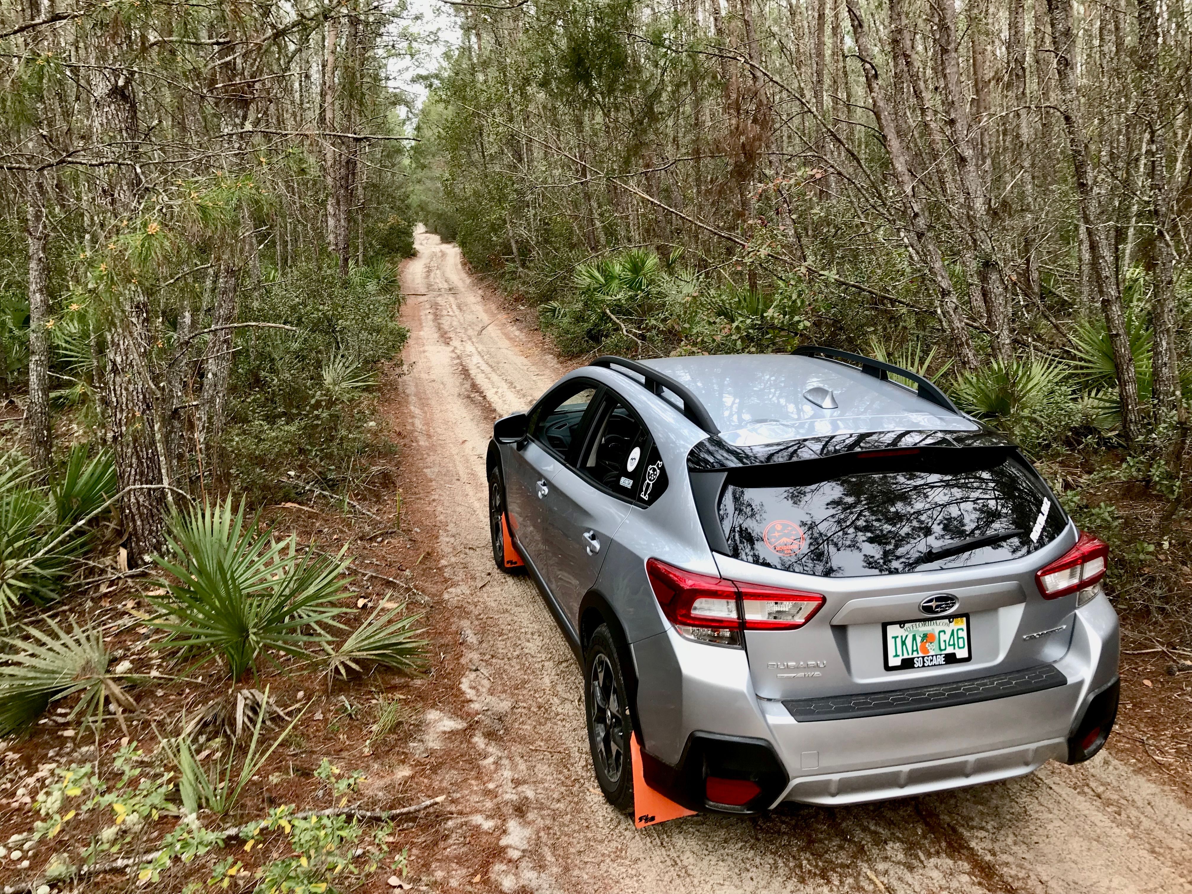 Florida Driving Photos, Download The BEST Free Florida Driving Stock ...