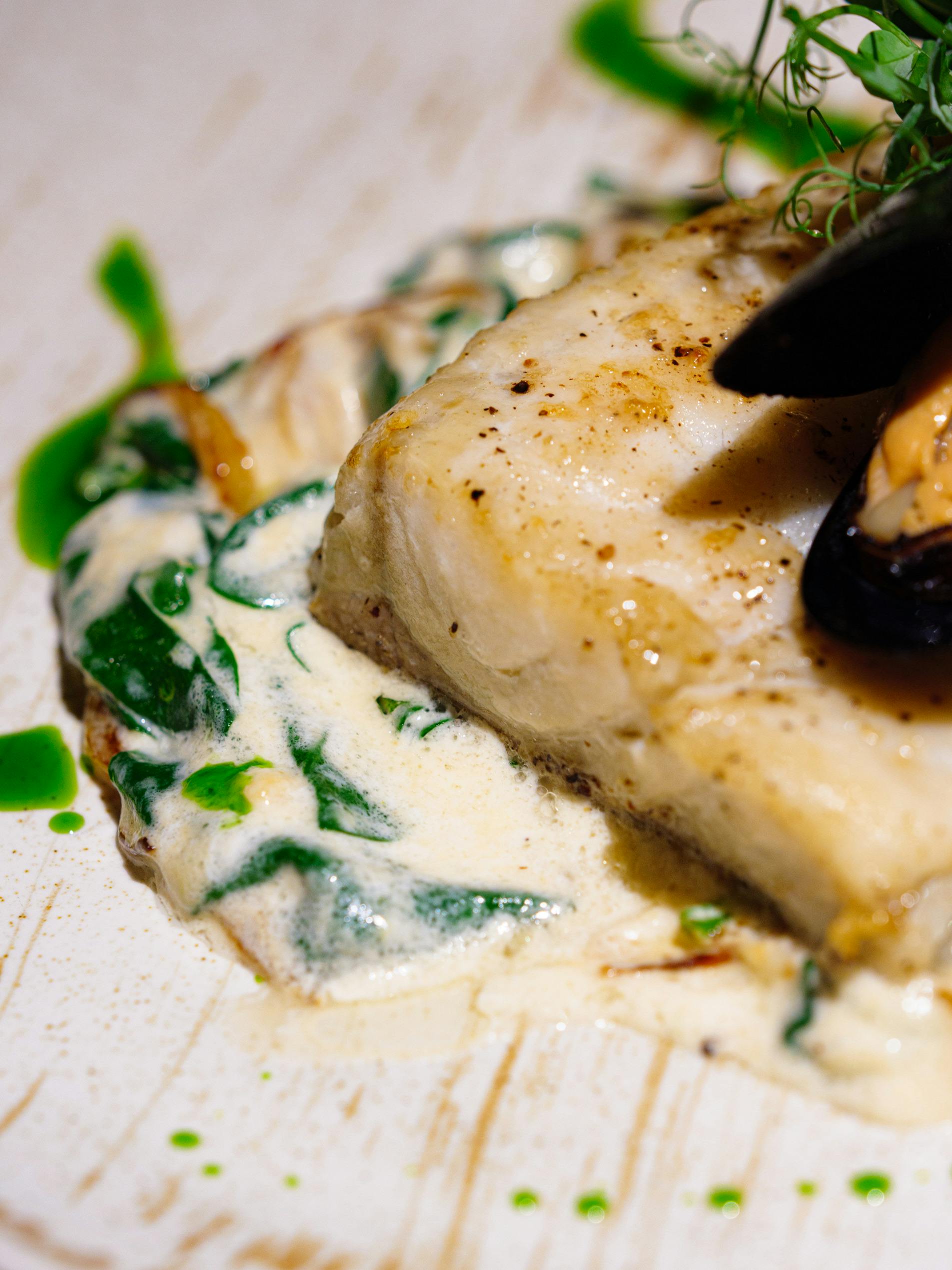 Cooked Fish Photos, Download The BEST Free Cooked Fish Stock Photos ...