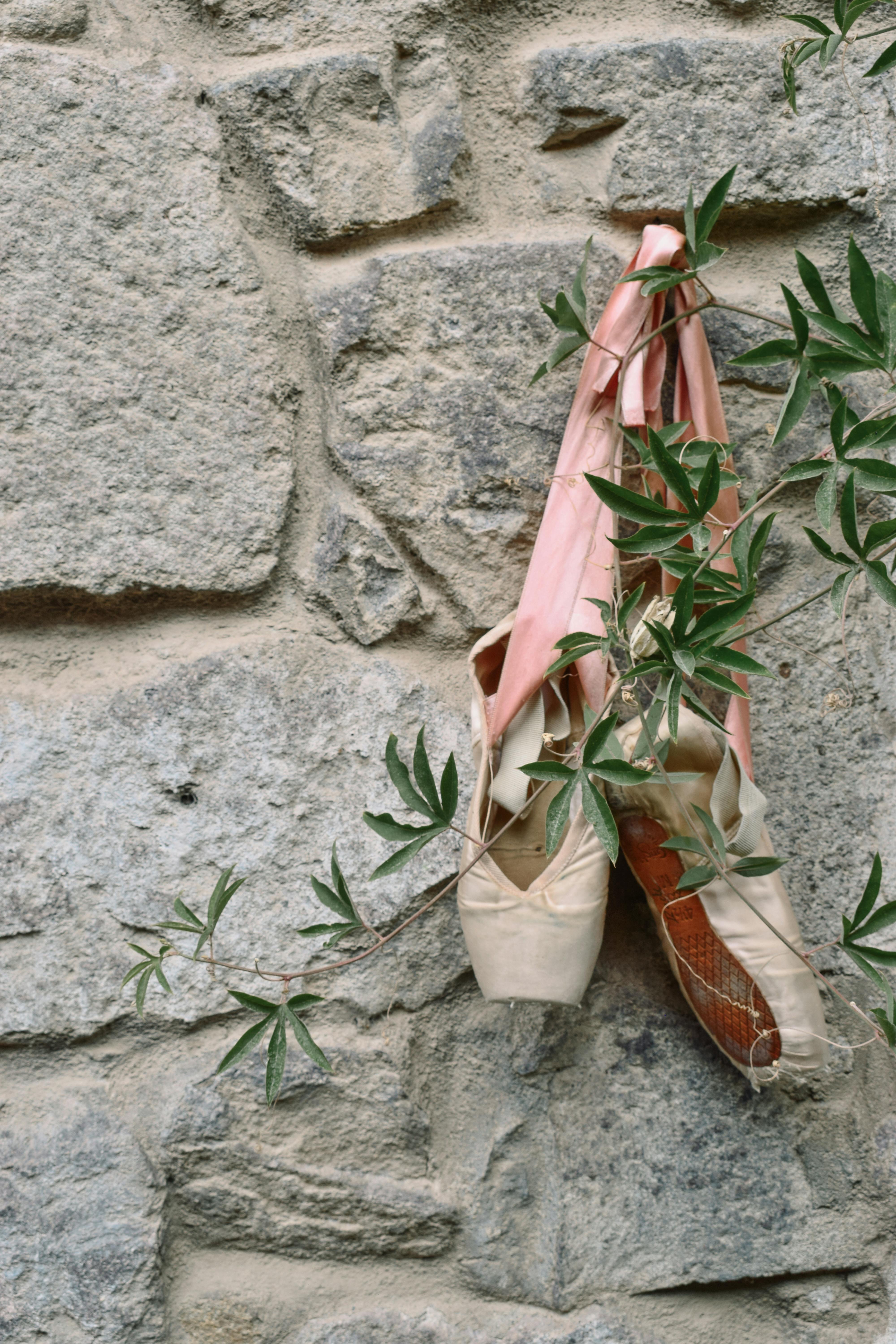 경치 좋은 관점, 경치가 좋은, 고전 무용, 나뭇잎, 녹색, 녹지, 담쟁이덩굴, 대자연, 댄스, 덩굴식물, 돌 질감, 돌담 ...