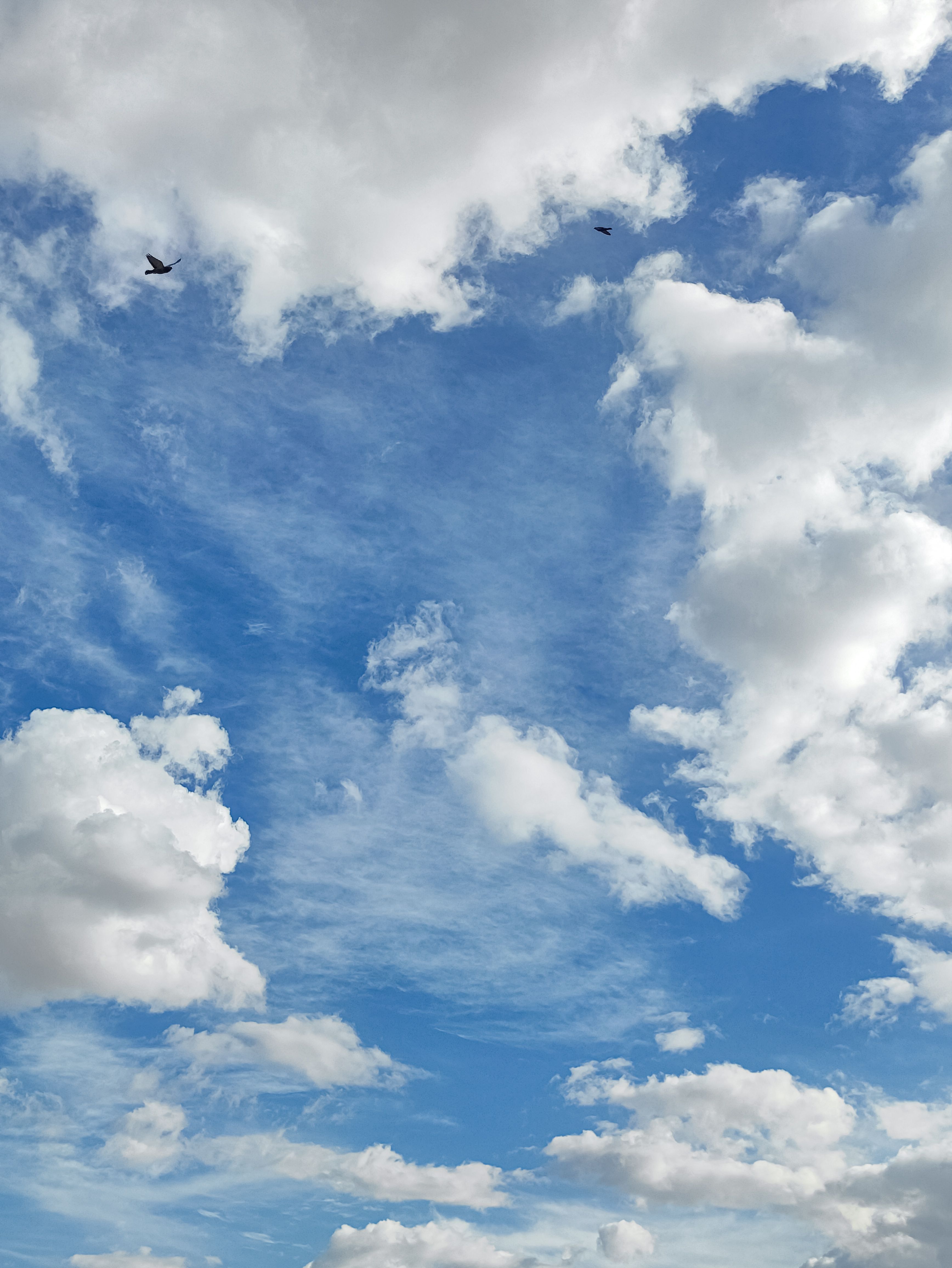 White Clouds in Blue Sky · Free Stock Photo