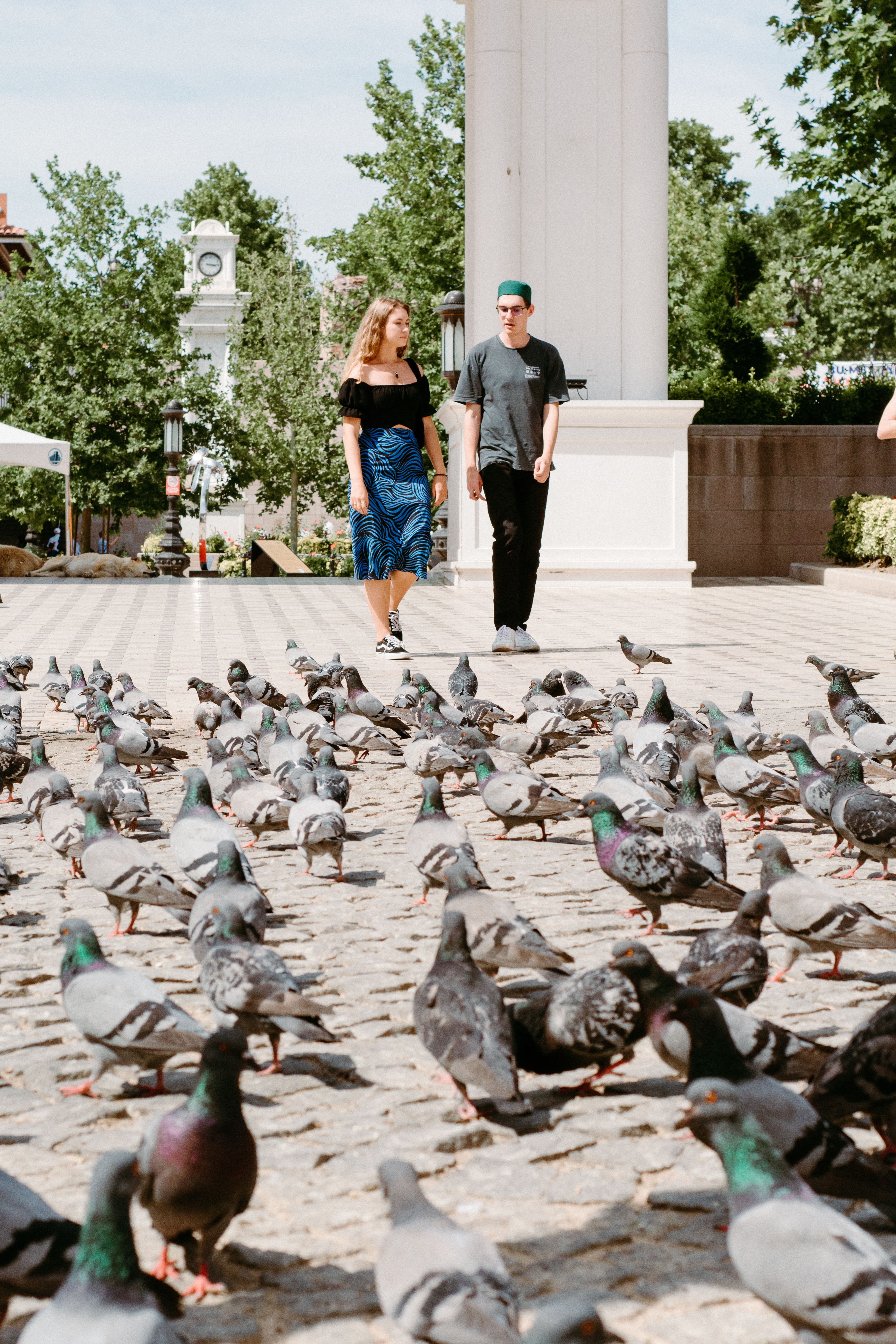 A couple walking through a park with pigeons · Free Stock Photo